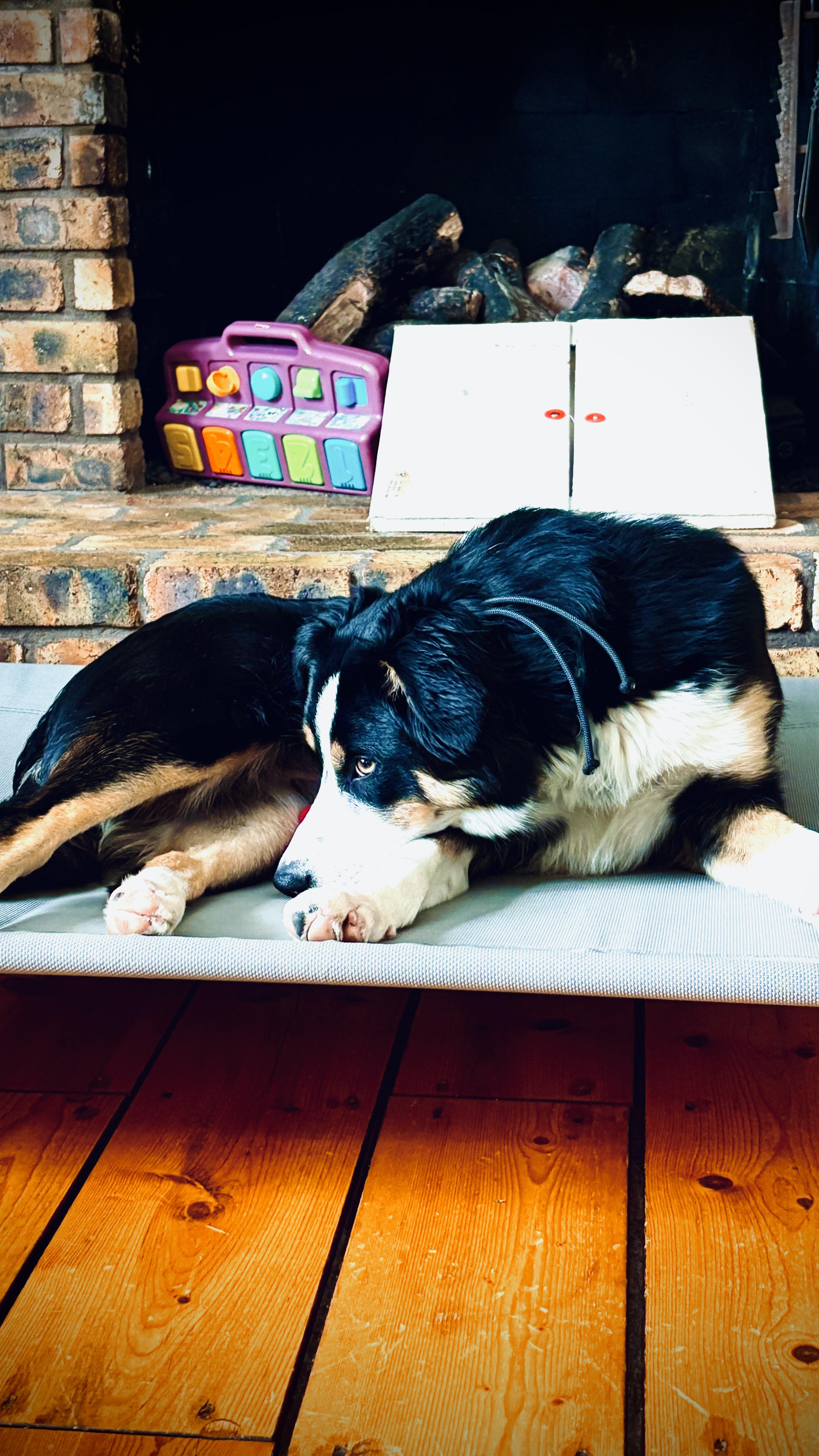 Pluto Edits (last unedited) | Scrolller