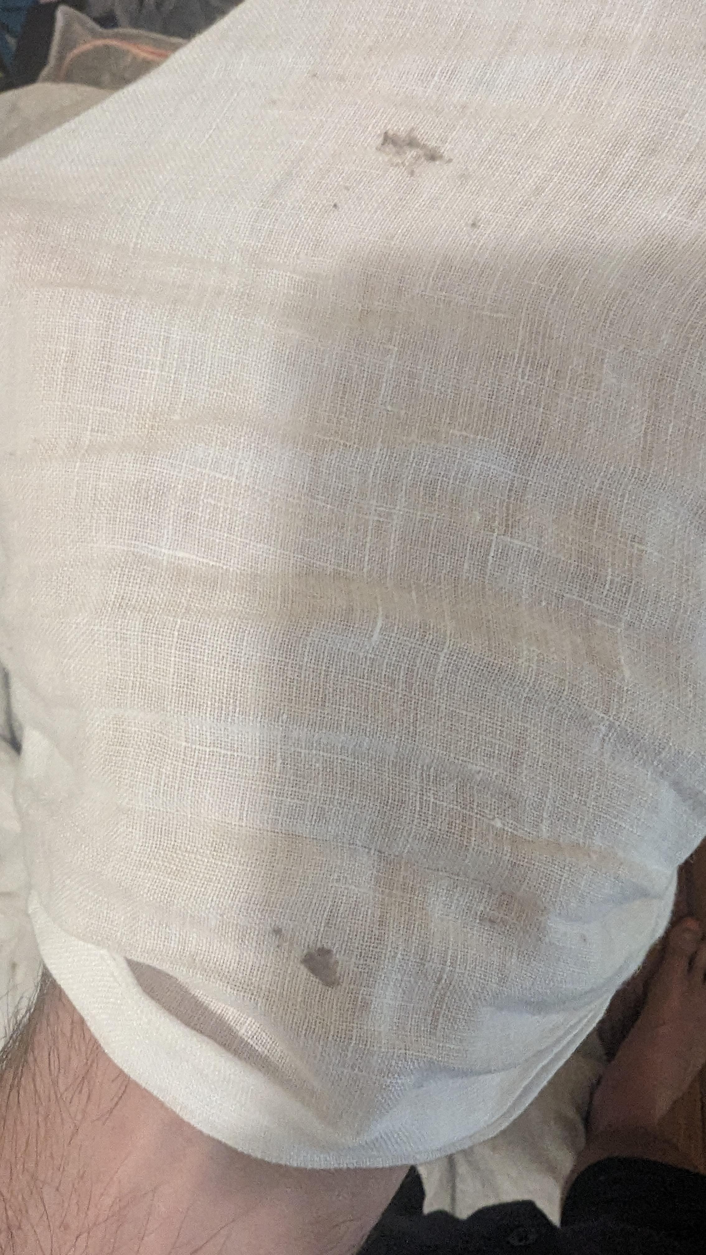 These look like bed bug blood stains? | Scrolller