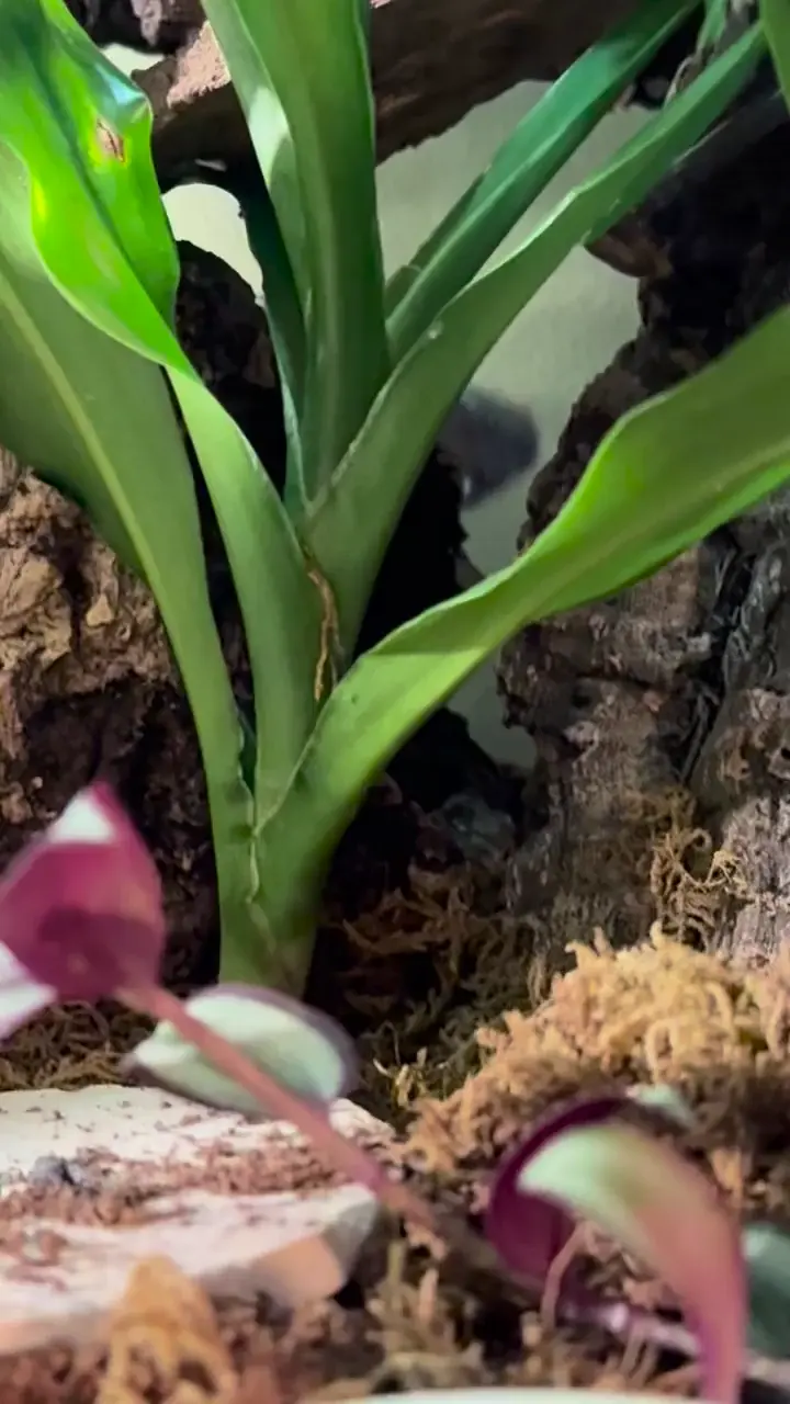 Just a silly guy | Scrolller