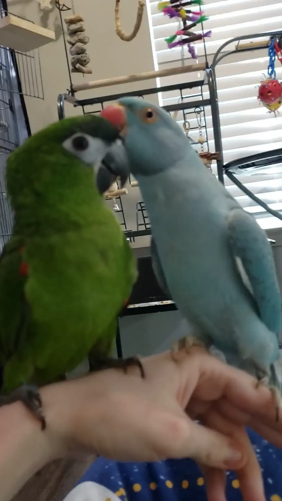 Just some interspecies loving | Scrolller