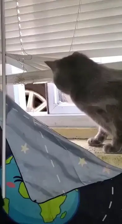 Just stare at him. | Scrolller