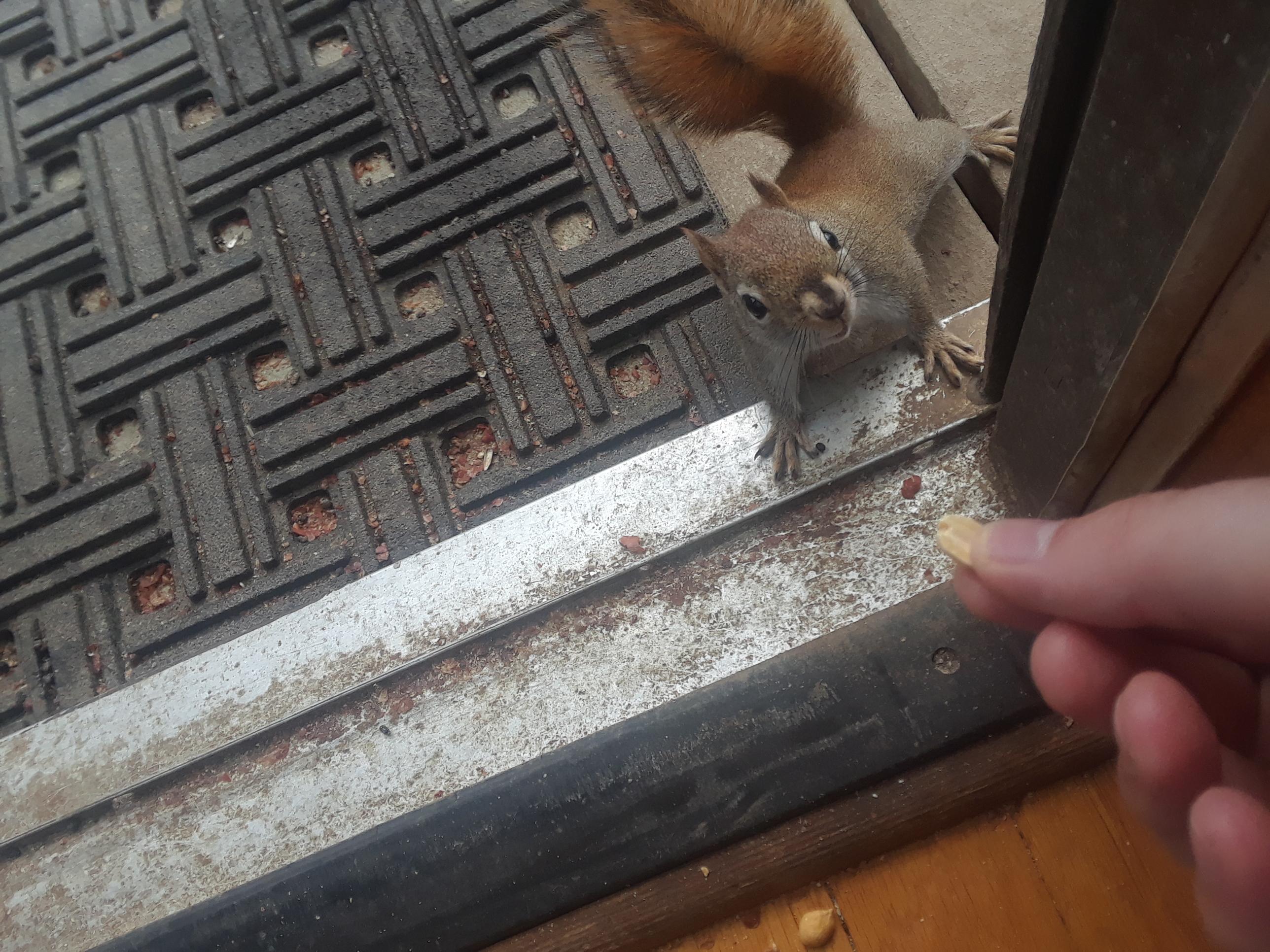 Visitors! | Scrolller