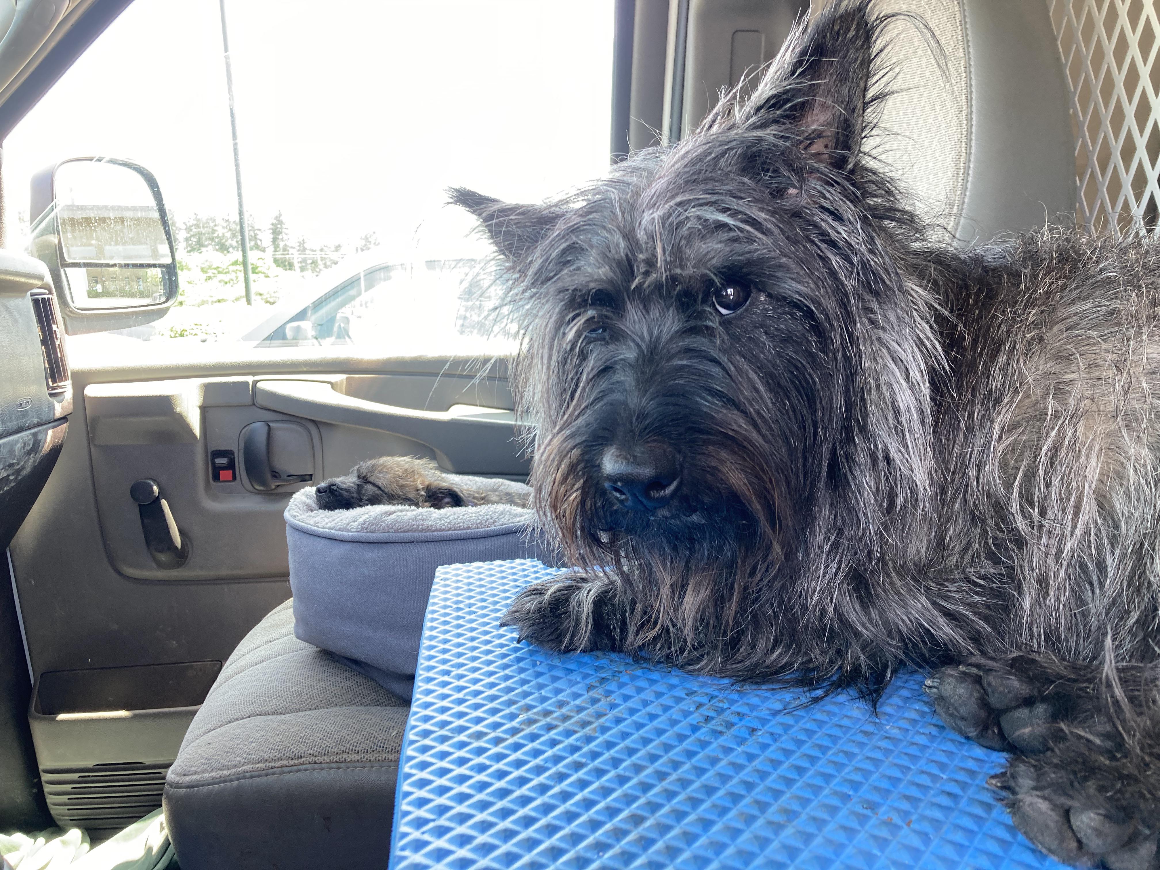 Henry is not happy about the new-hire… | Scrolller