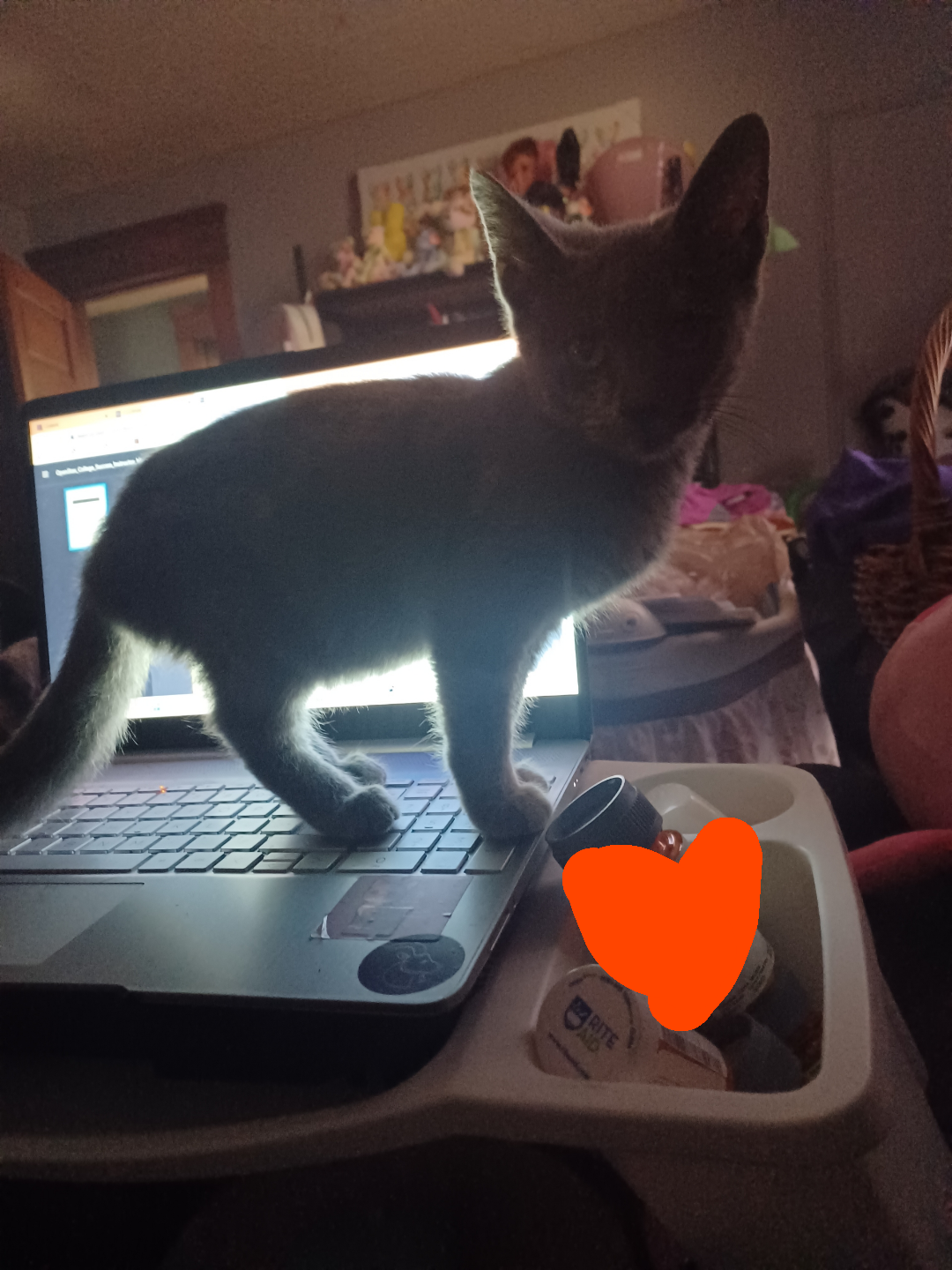 Mischief managed, atleast on earth | Scrolller