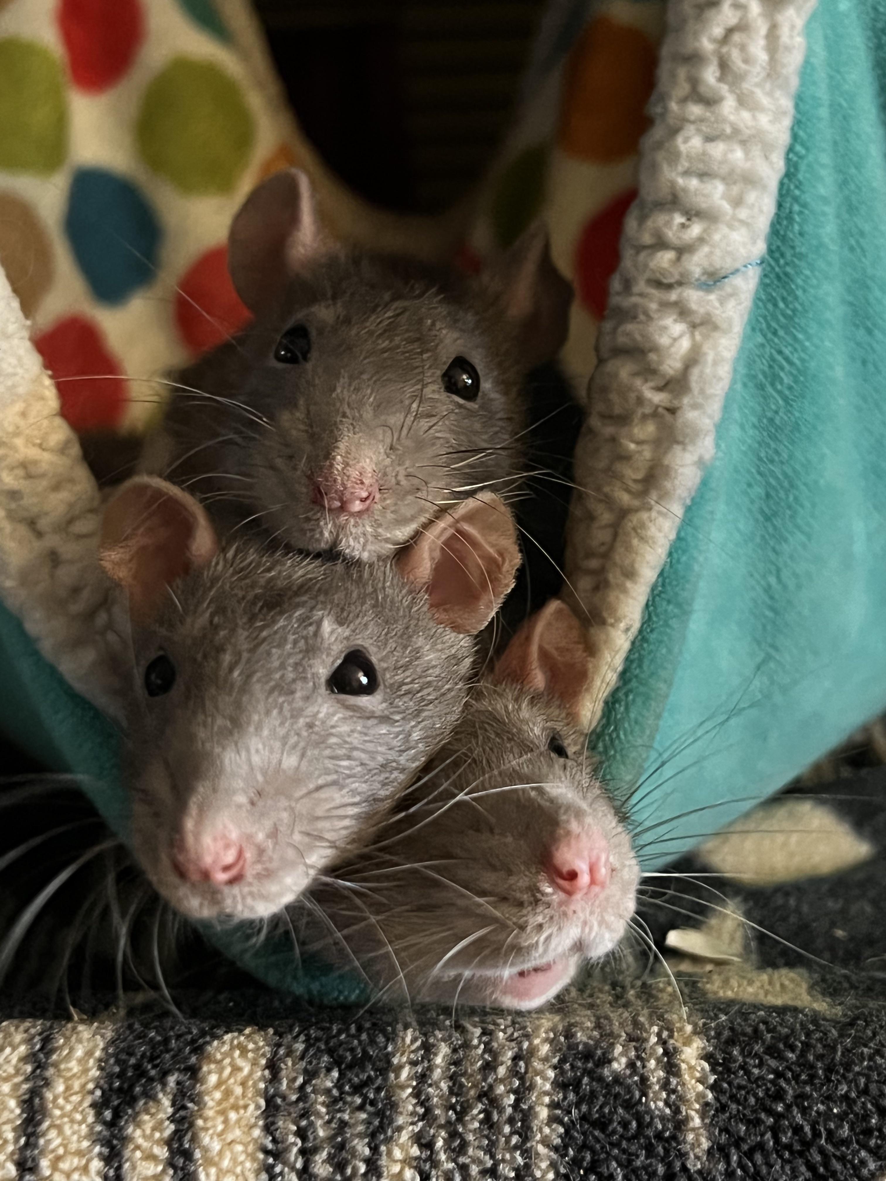 Delaware? | Scrolller