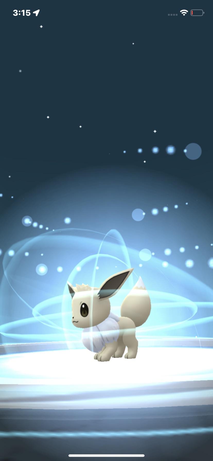 Shiny eevee spawned in my backyard, so I caught it and evolved it immediately | Scrolller