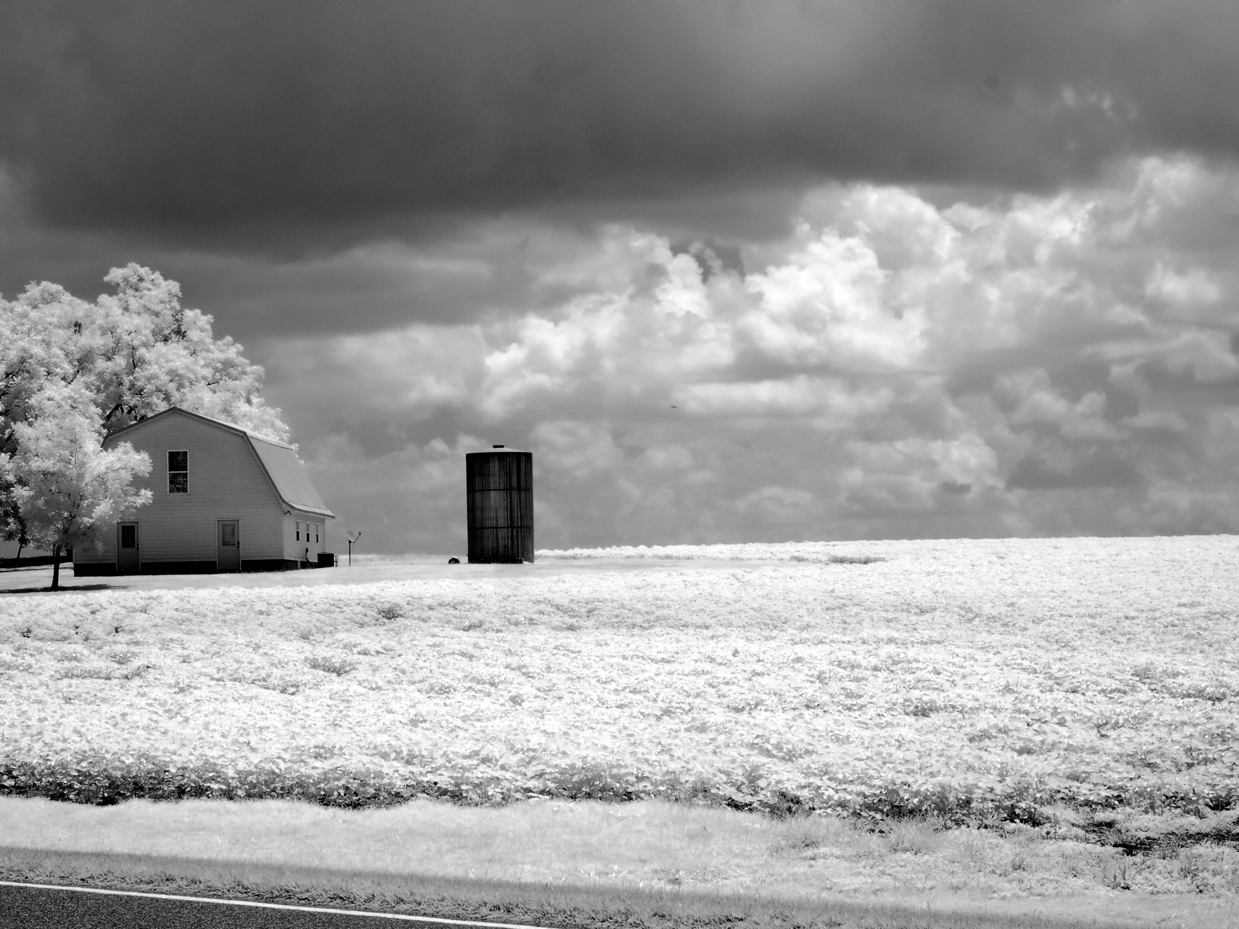 Infrared photos (advice) | Scrolller