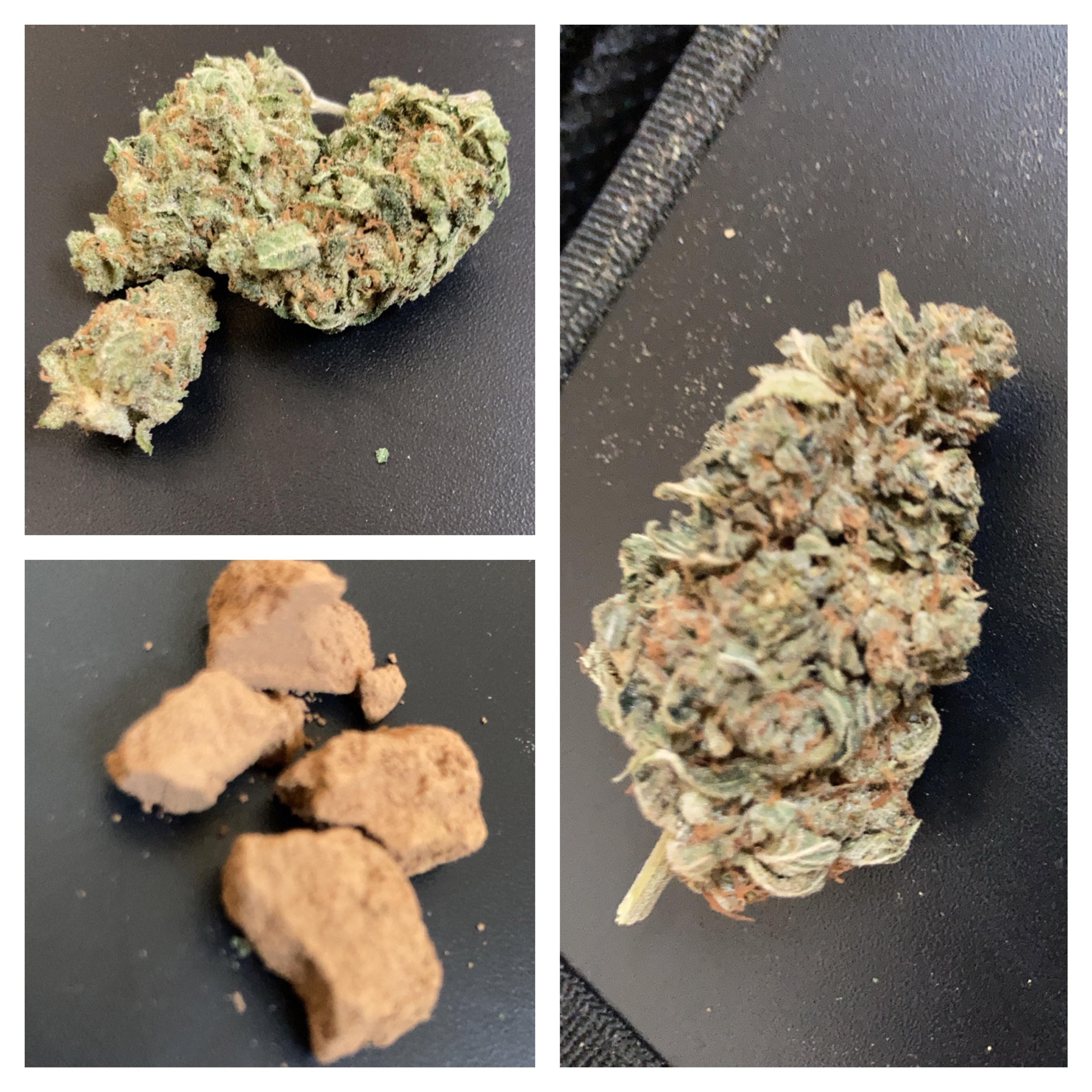 Jungle joint | Scrolller