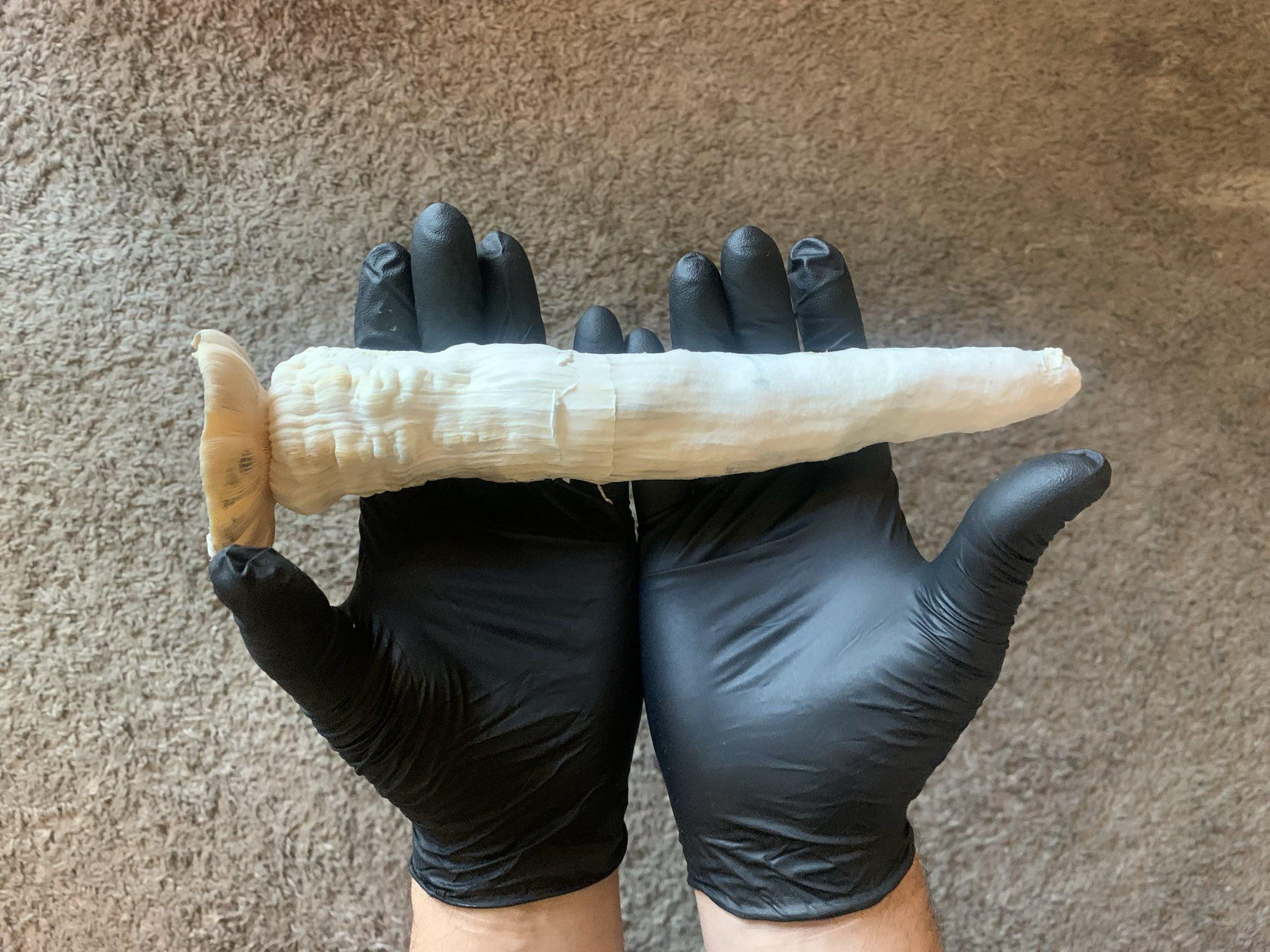 Penis envy you say? [Actives] | Scrolller