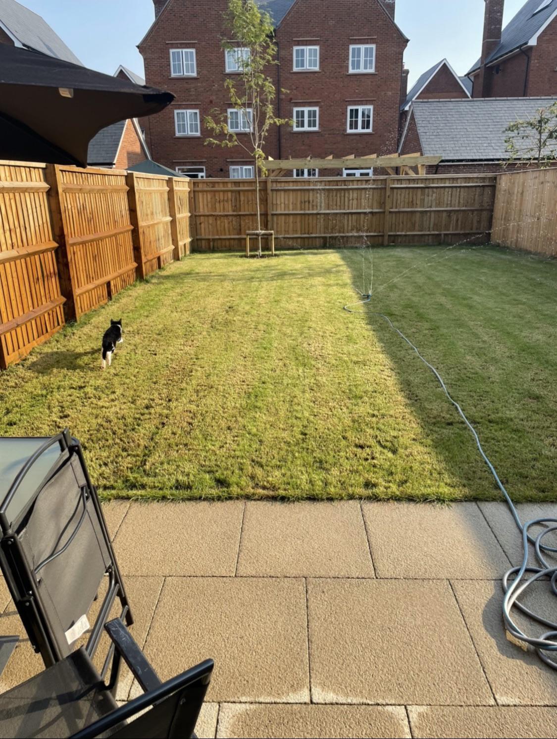 Lawn Progression | Scrolller