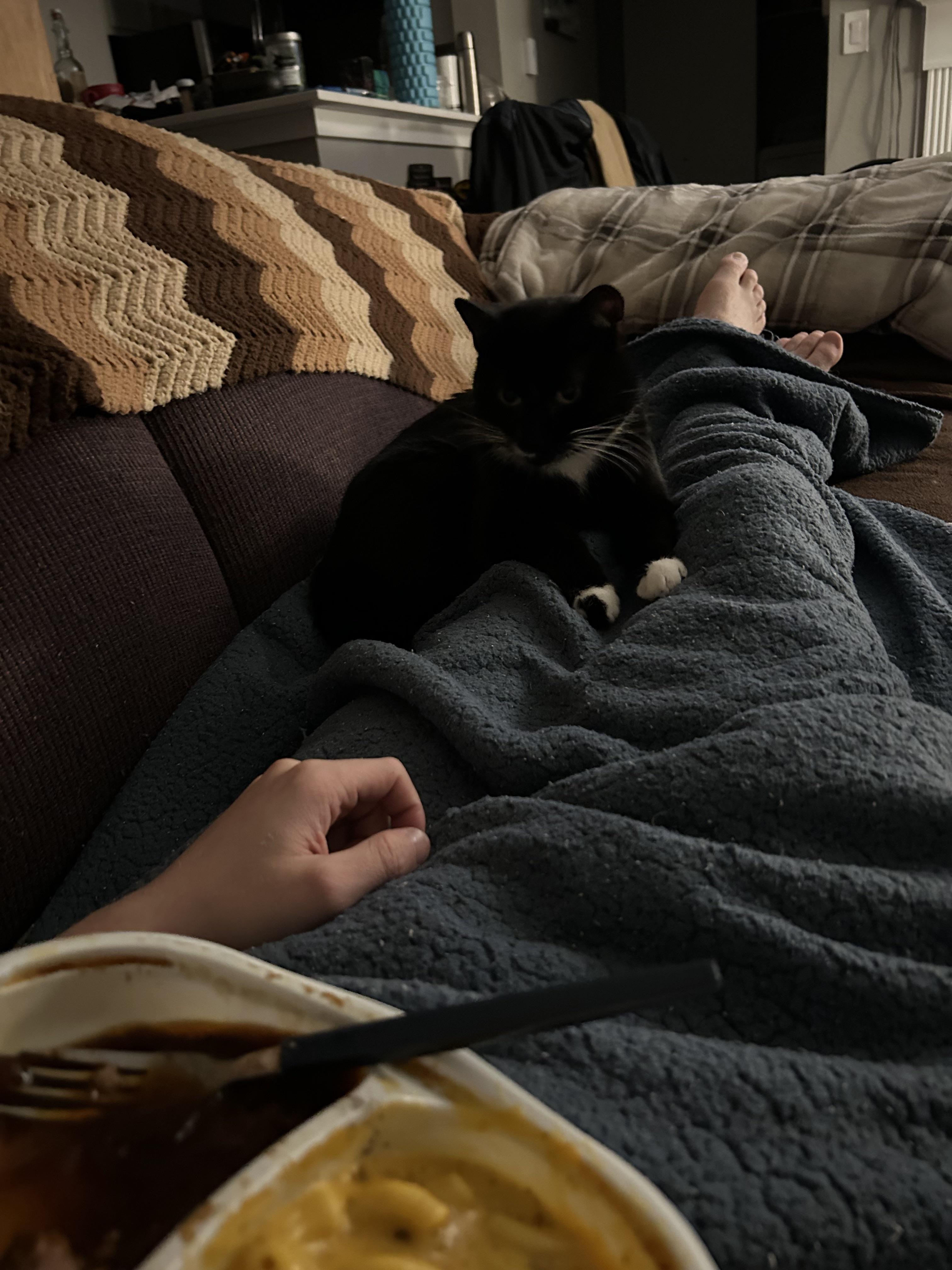 Food Vacuum | Scrolller