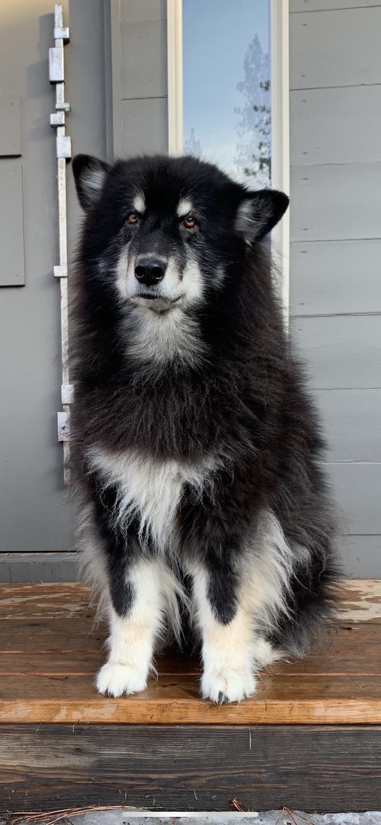 Clint, the senior citizen | Scrolller