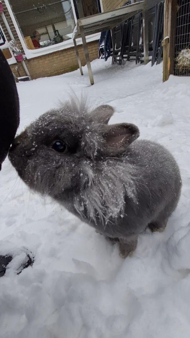 Rapper 💛 🖤 | Scrolller