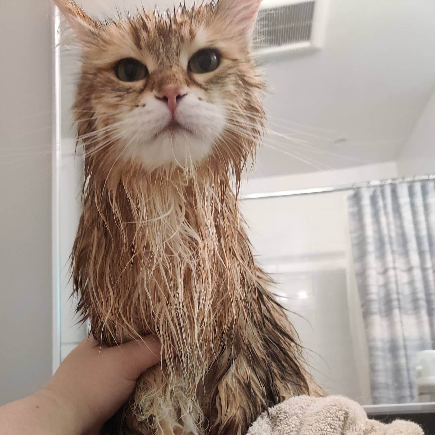 After shower spam | Scrolller