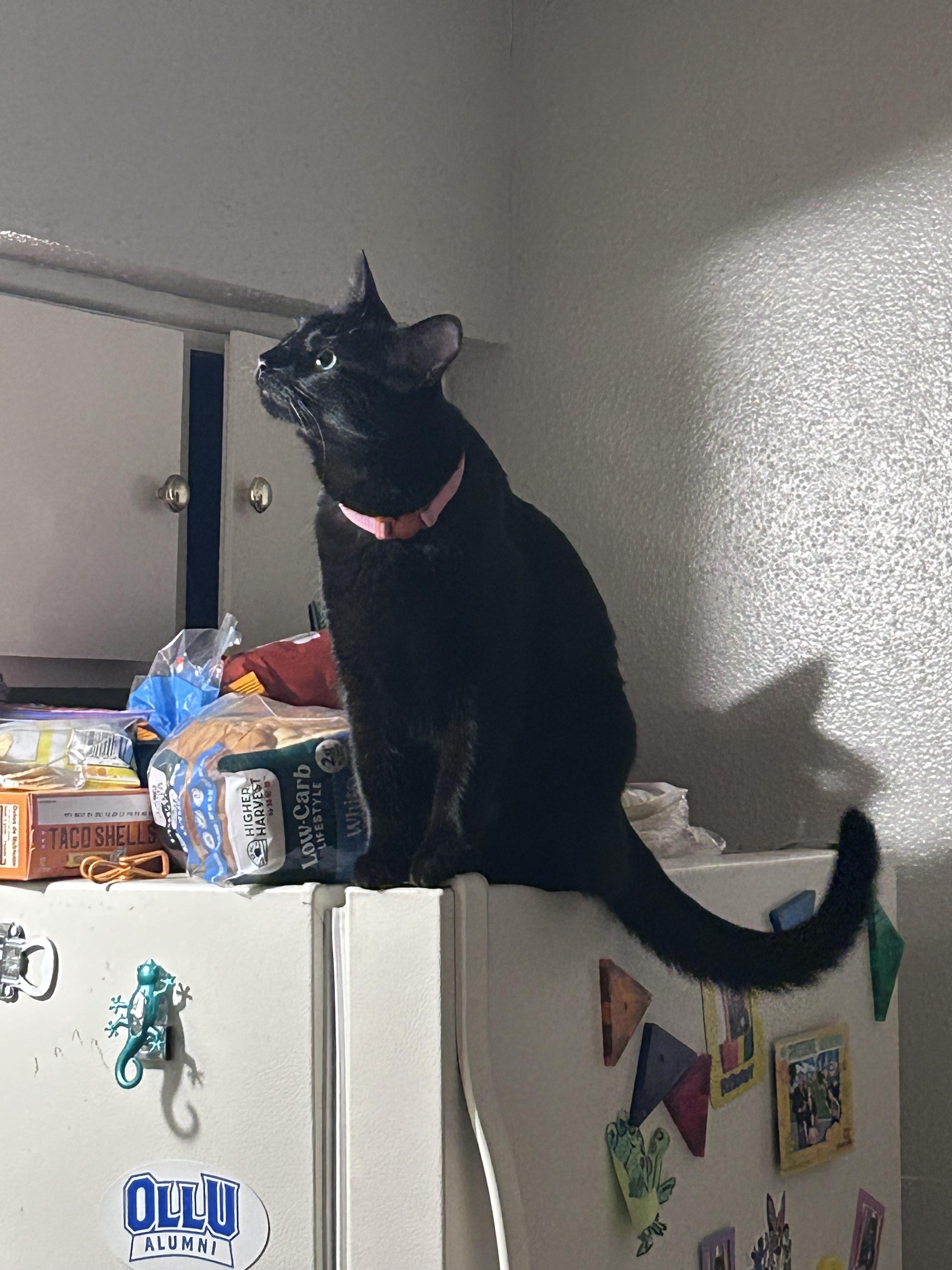 She’s on Bug Patrol | Scrolller