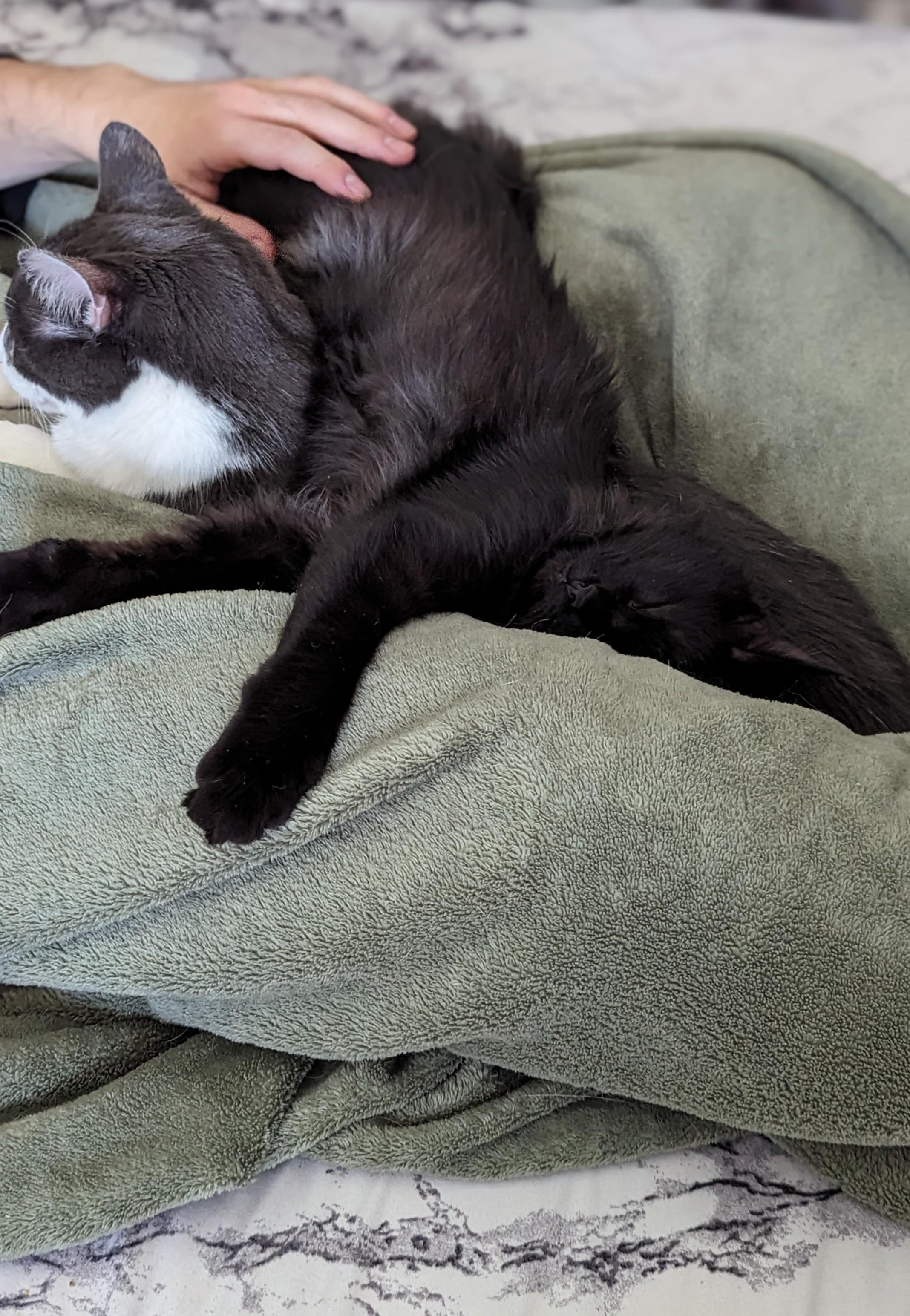 Bless his older brothers endless patience and love for him | Scrolller