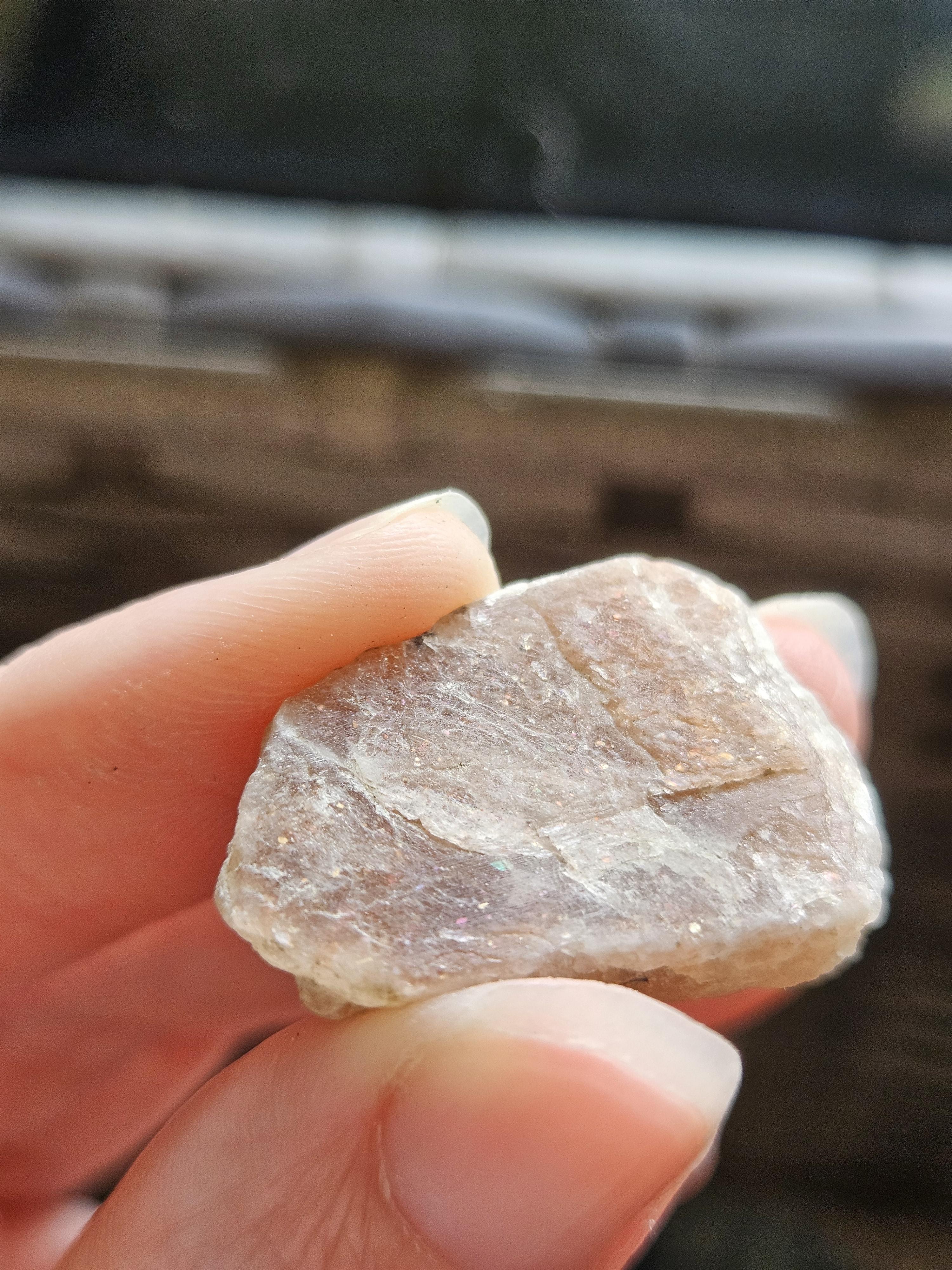 Help identifying this? | Scrolller