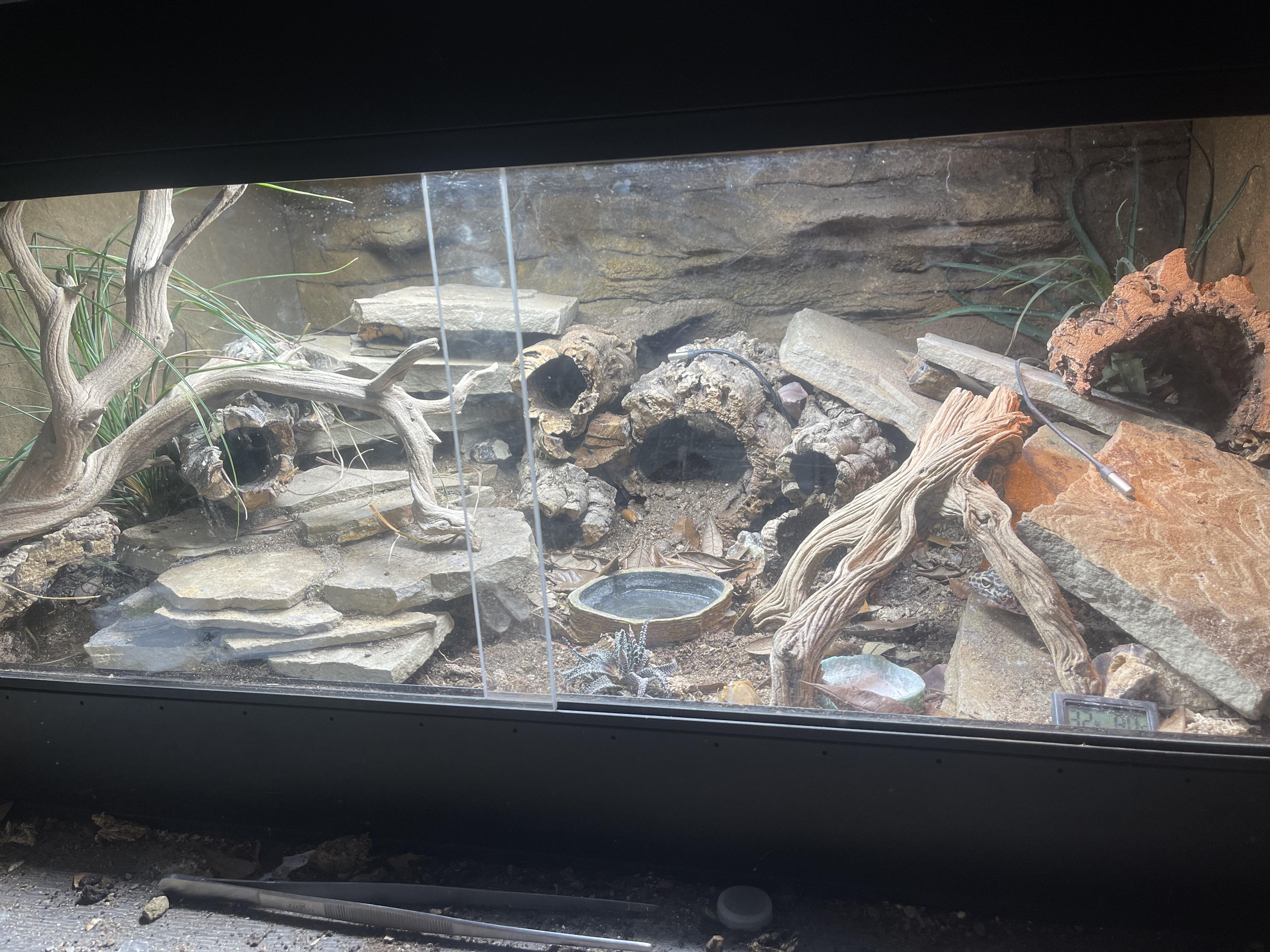 Updated enclosure ! | Scrolller