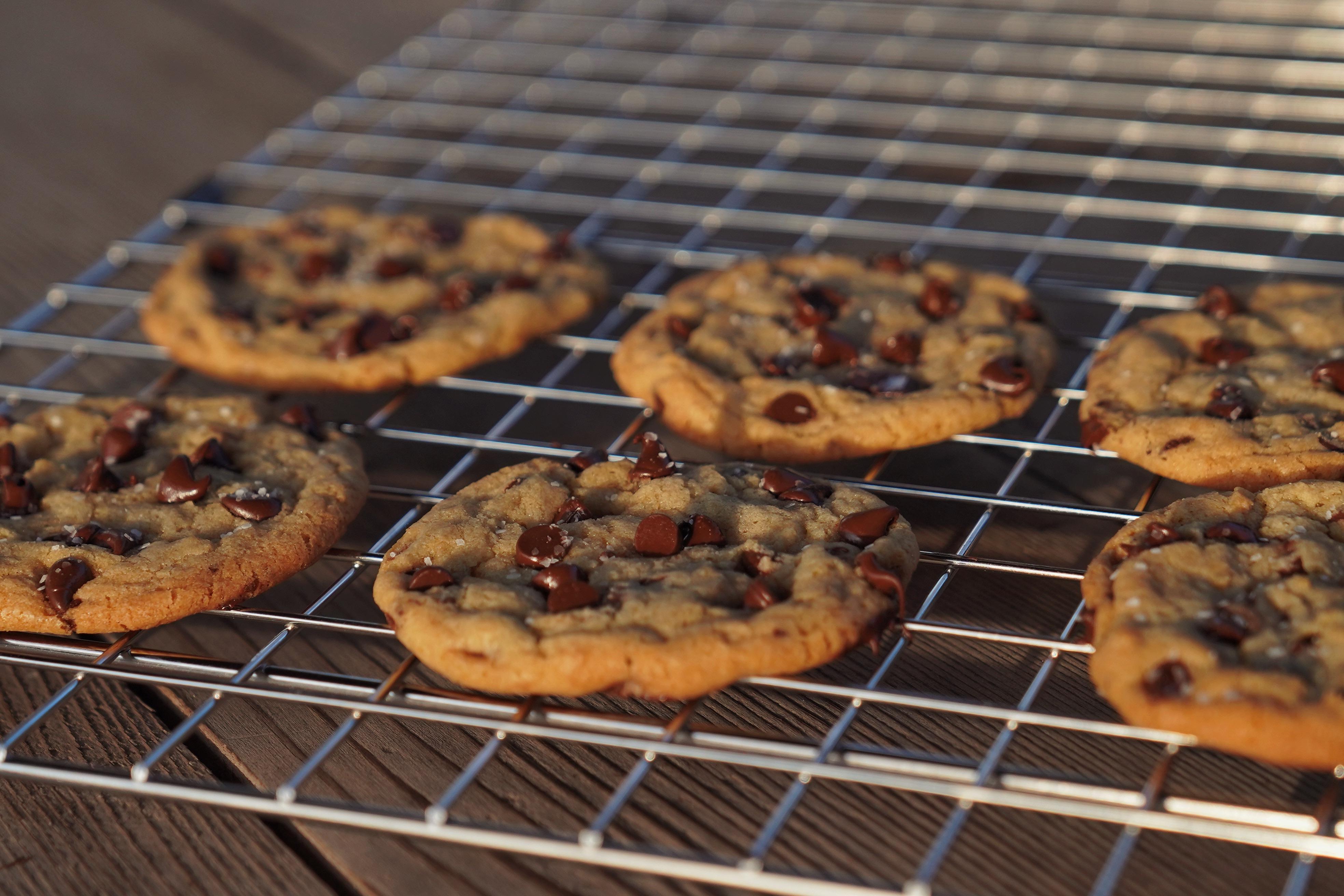 [homemade] chocolate chip cookies! | Scrolller