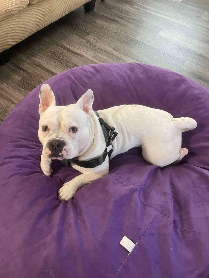 Little chunk | Scrolller