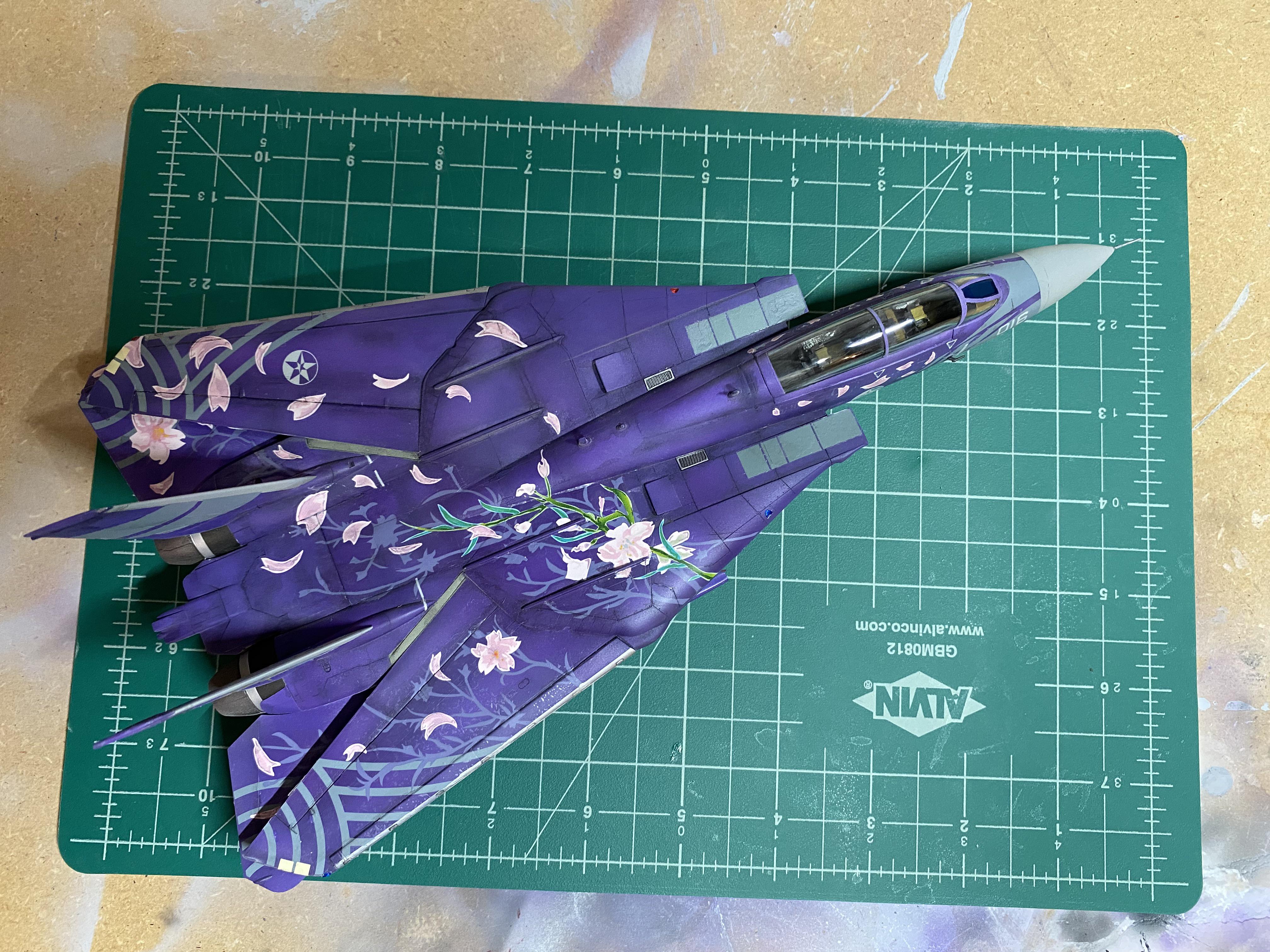 Ace Combat F-14D Tomcat “Cherry Blossom” Hasegawa 1/72 | Scrolller