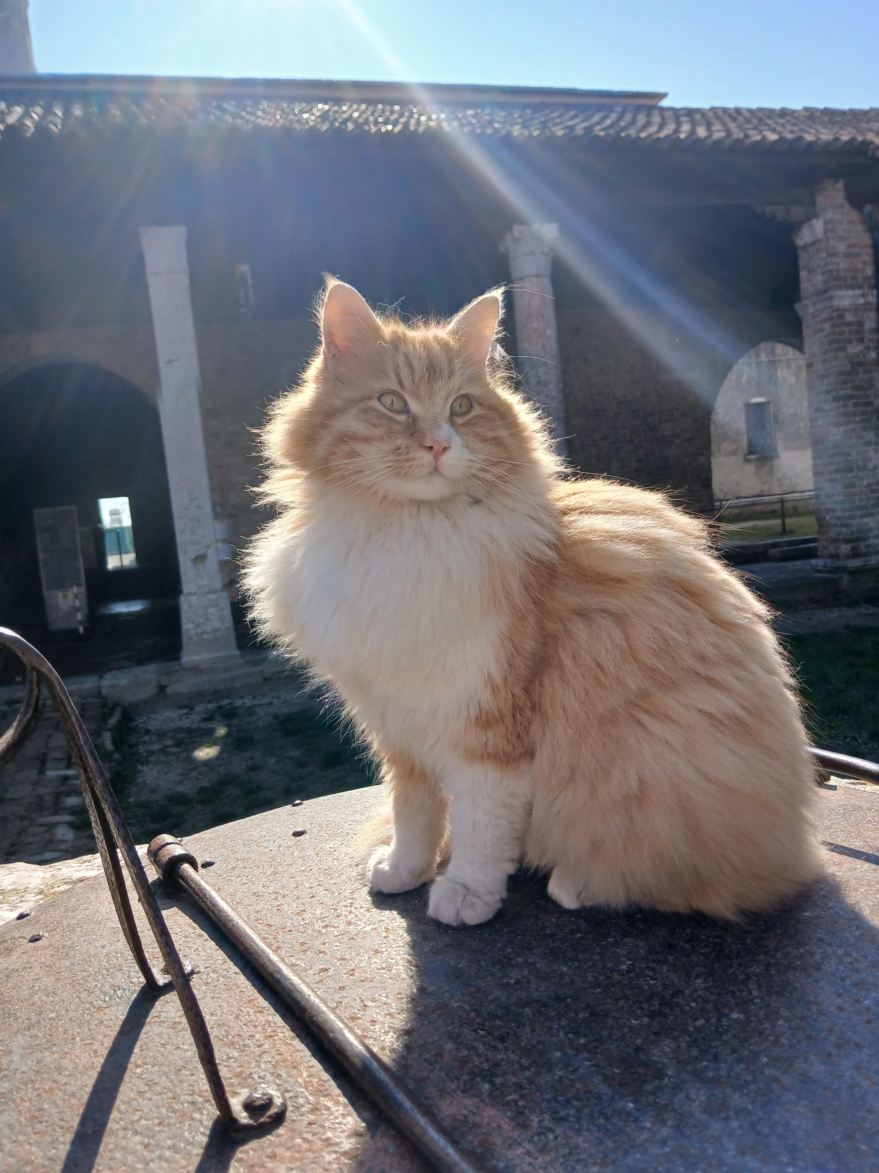 Discover more like Aww: My pal, Romeo and Related Content | Scrolller