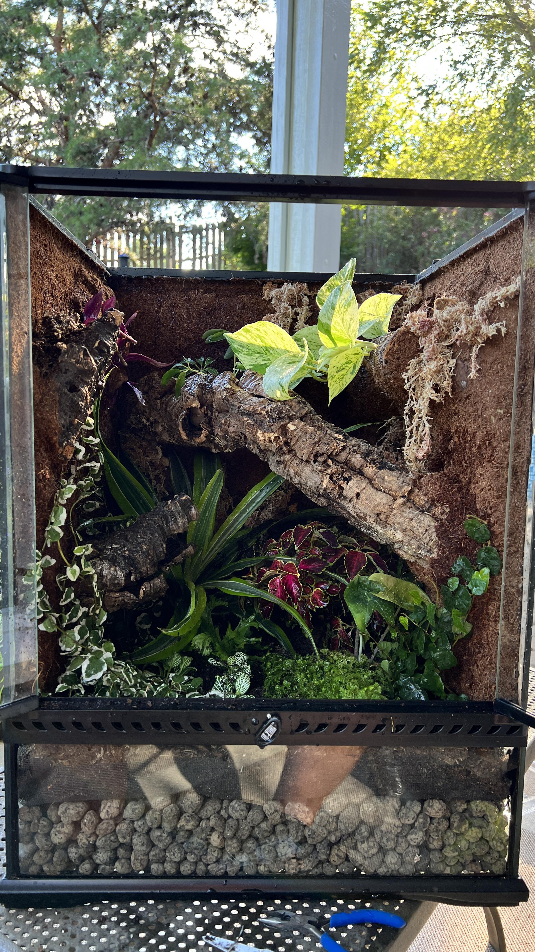 First Bioactive build - Feedback? | Scrolller