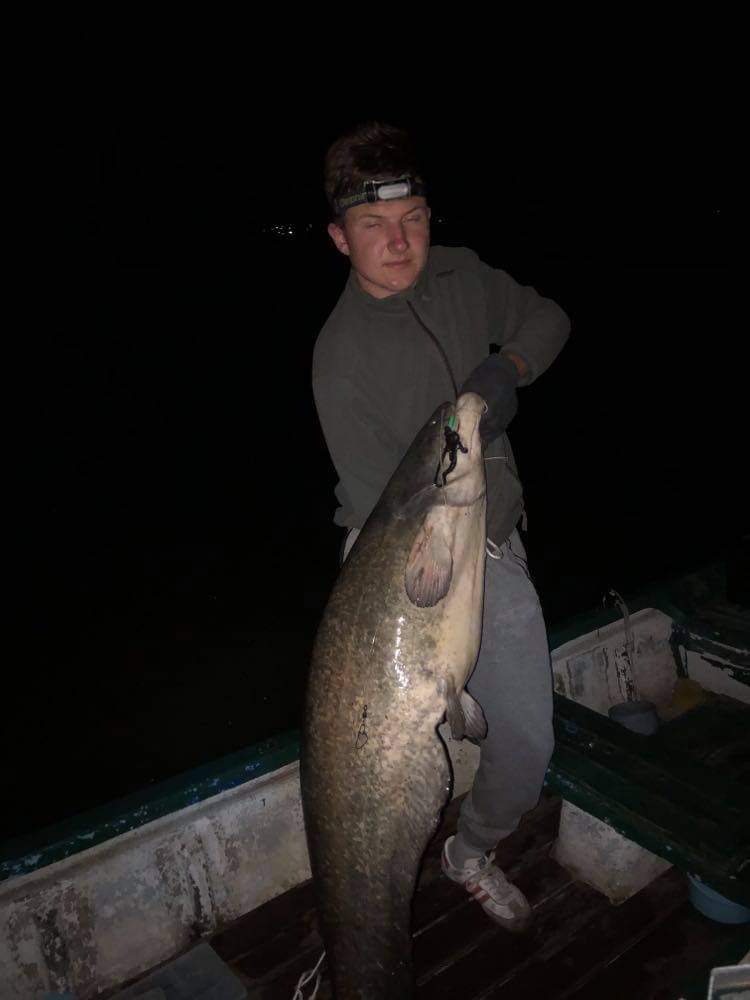 Hungarian catfish :) | Scrolller