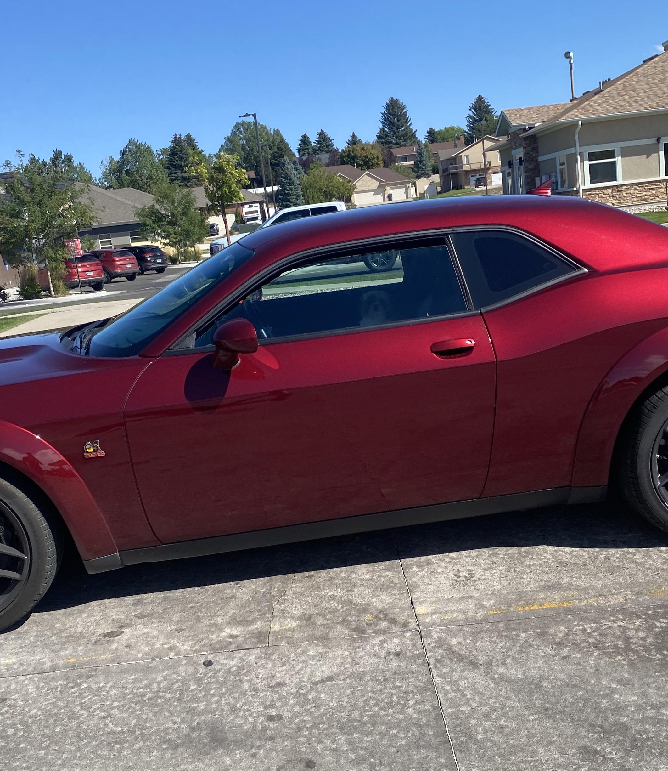 Passenger princess | Scrolller