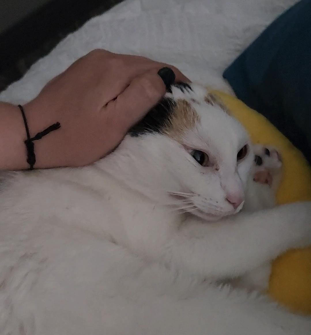 Mimi's eyes go EEEEEEEEEE | Scrolller