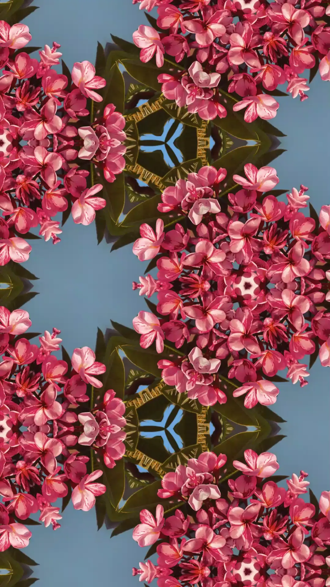 Kaleidoscope | Scrolller