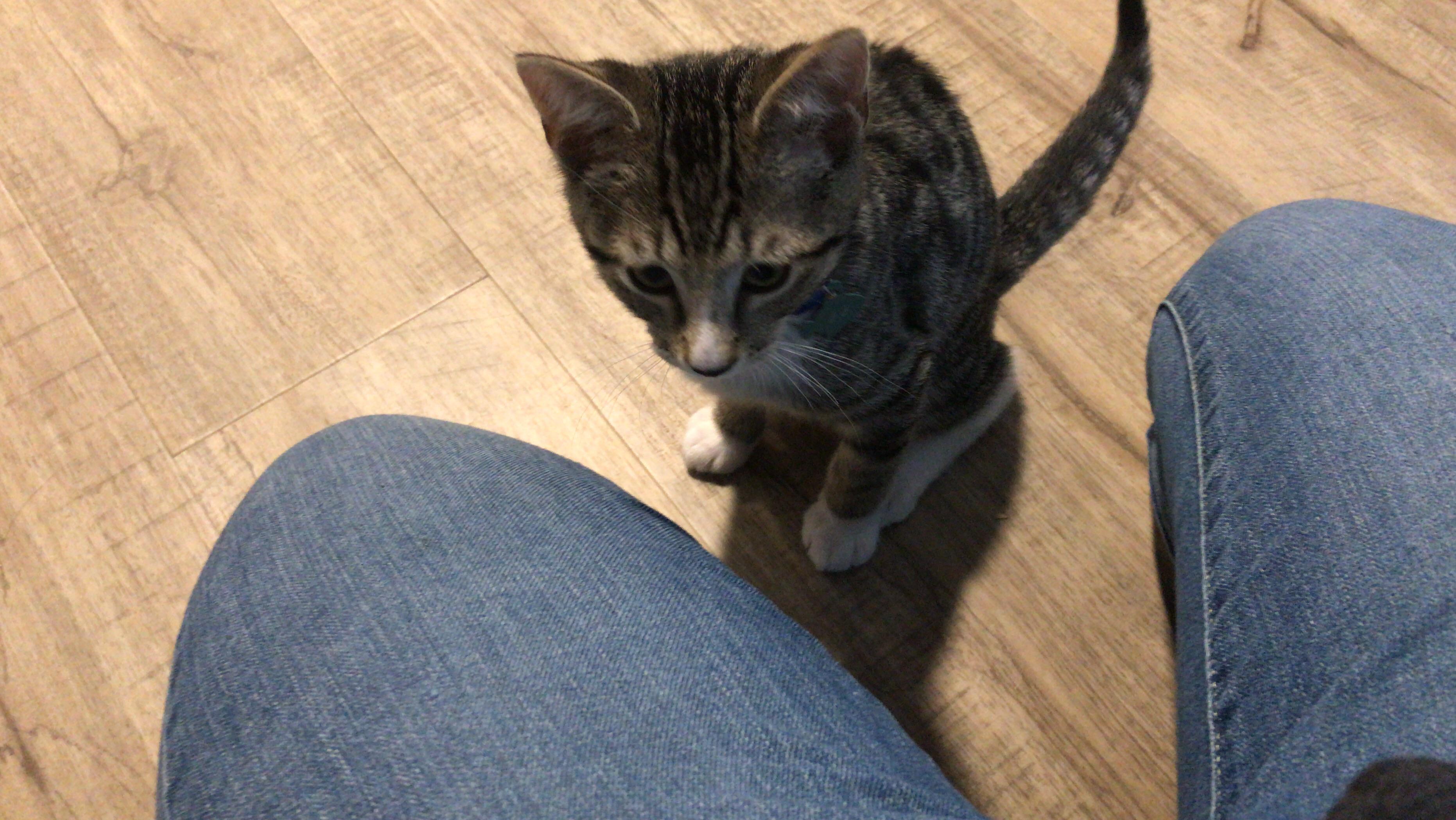 Karma-farming posts | Scrolller