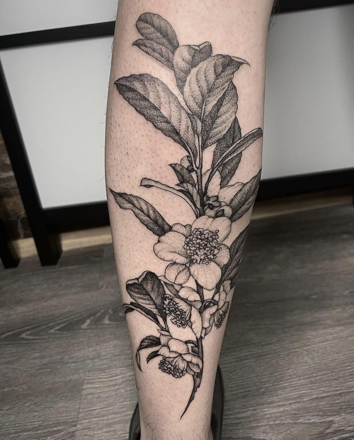 Tea Plant by Adriana Lentrichia - Imperial Tattoo, Burlington VT | Scrolller
