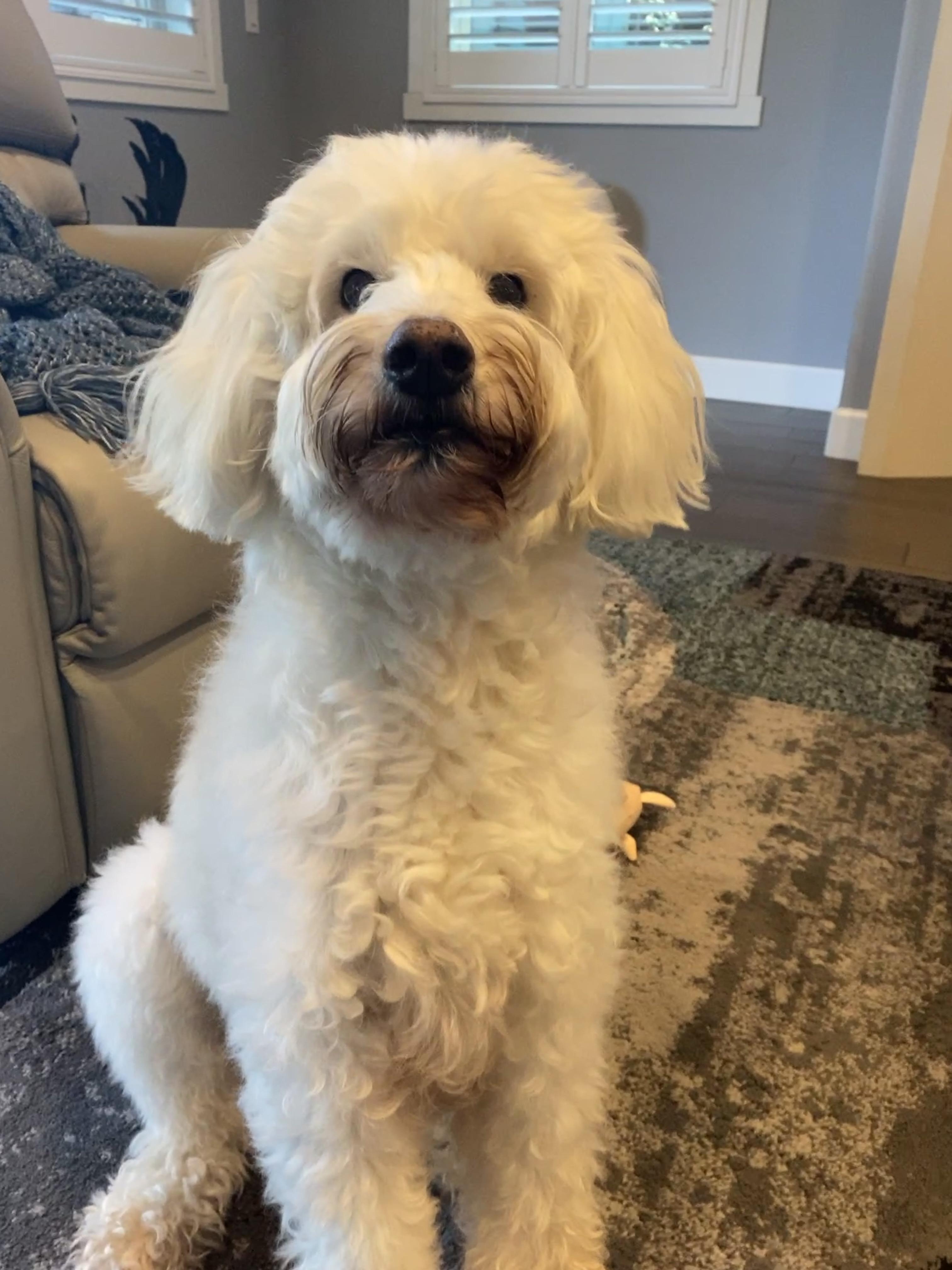 (OC) before & after his spa day | Scrolller