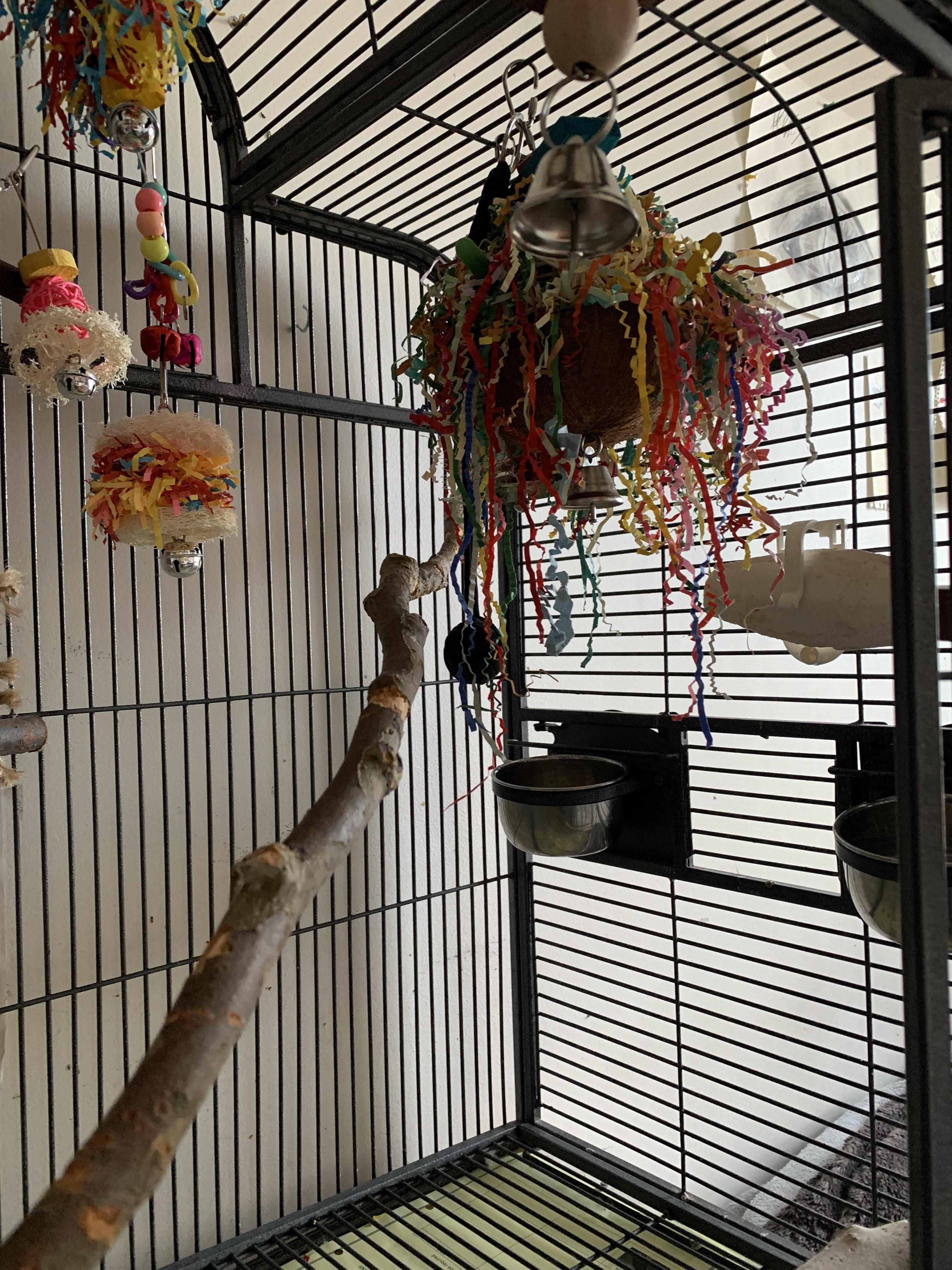 What do you guys think of billy boys setup ? | Scrolller