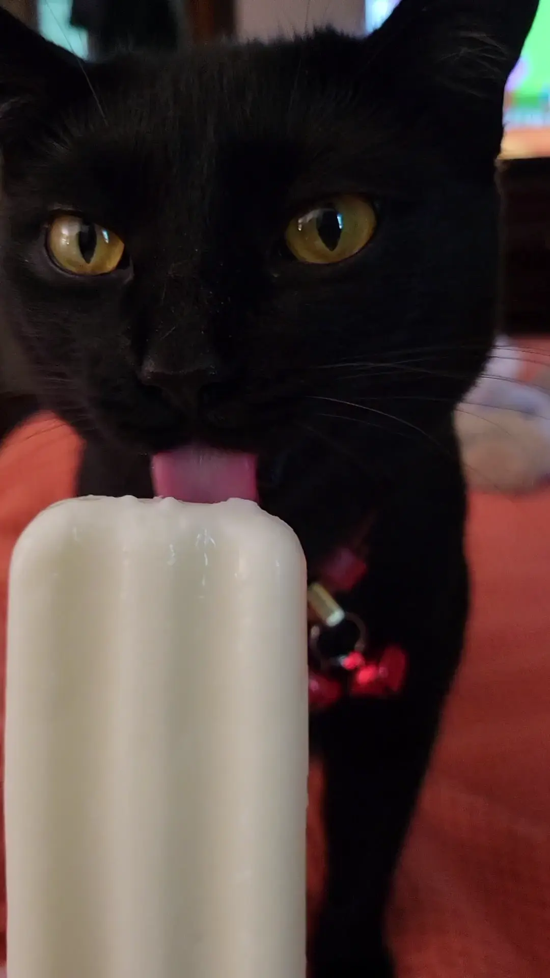 Keeping her Cool | Scrolller