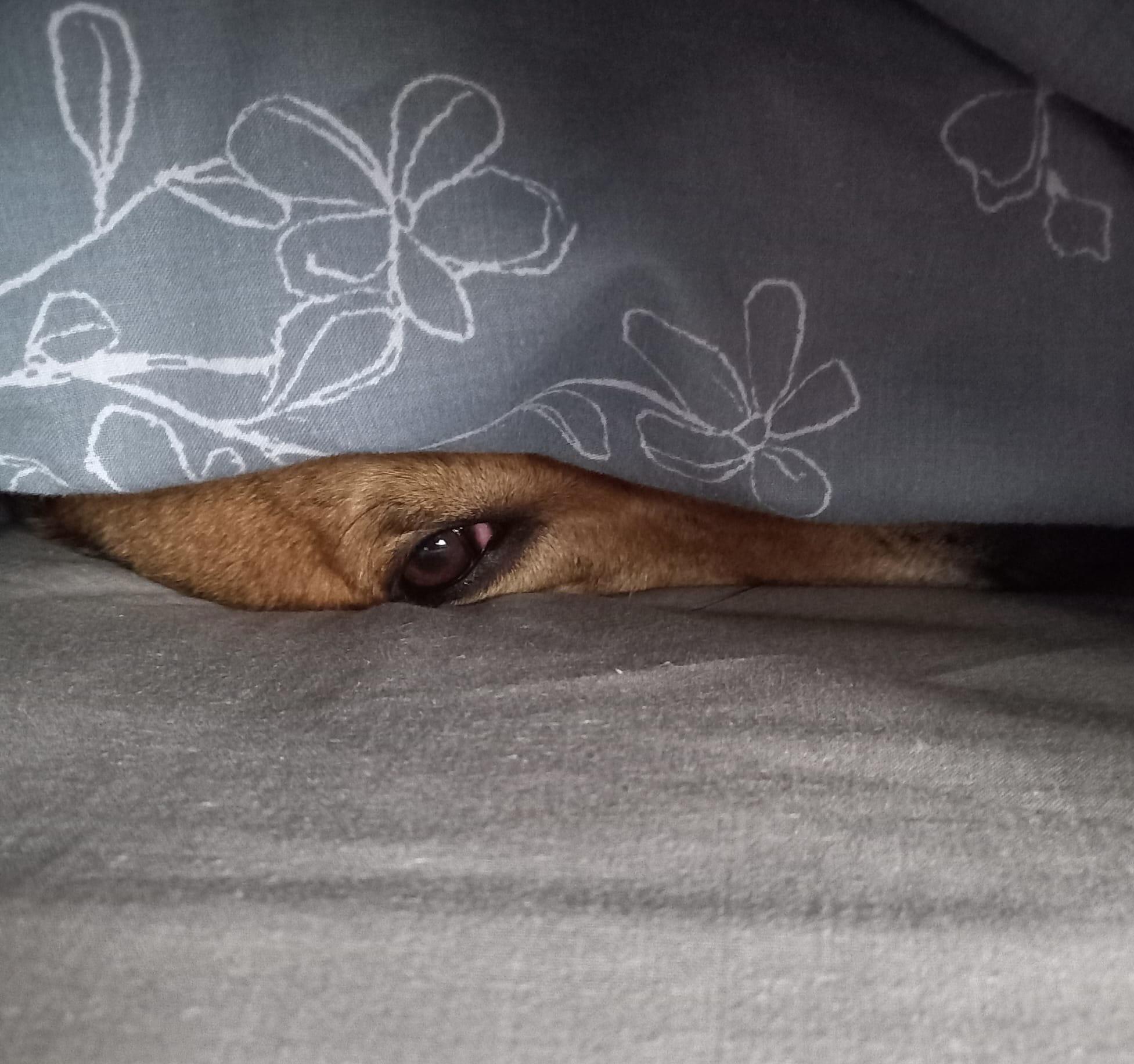 Keeping warm | Scrolller