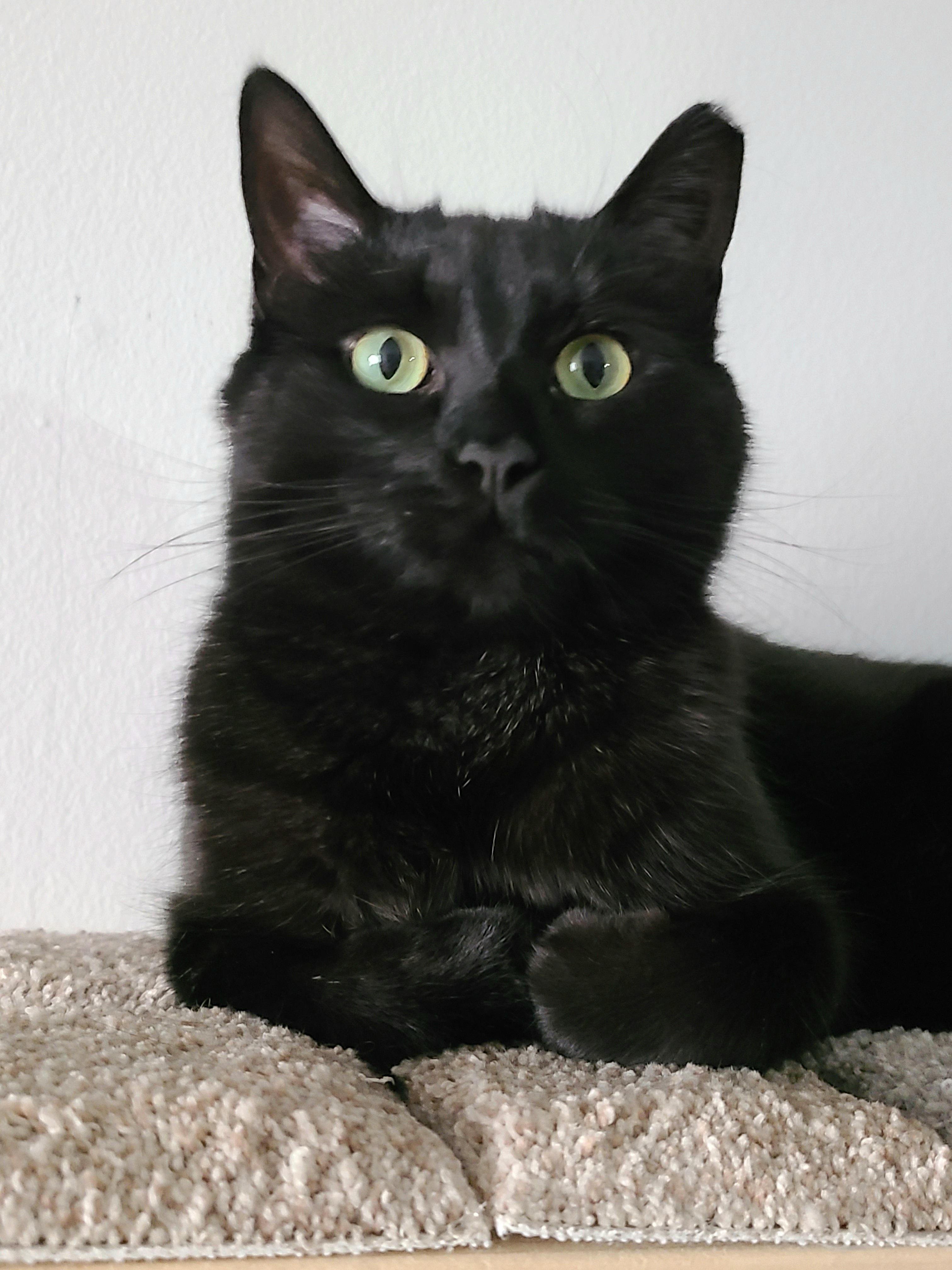 Keke showing off his manners | Scrolller