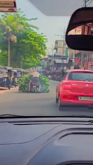 kerala grandpa otw to feed his cattles. | Scrolller