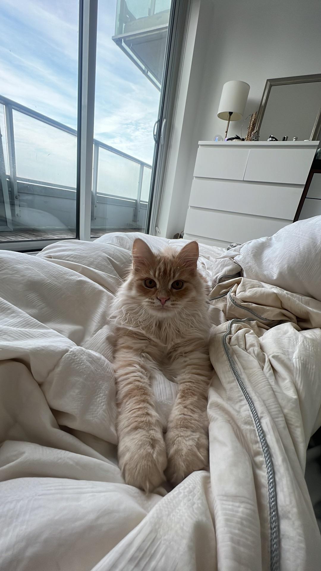 Shedding? | Scrolller