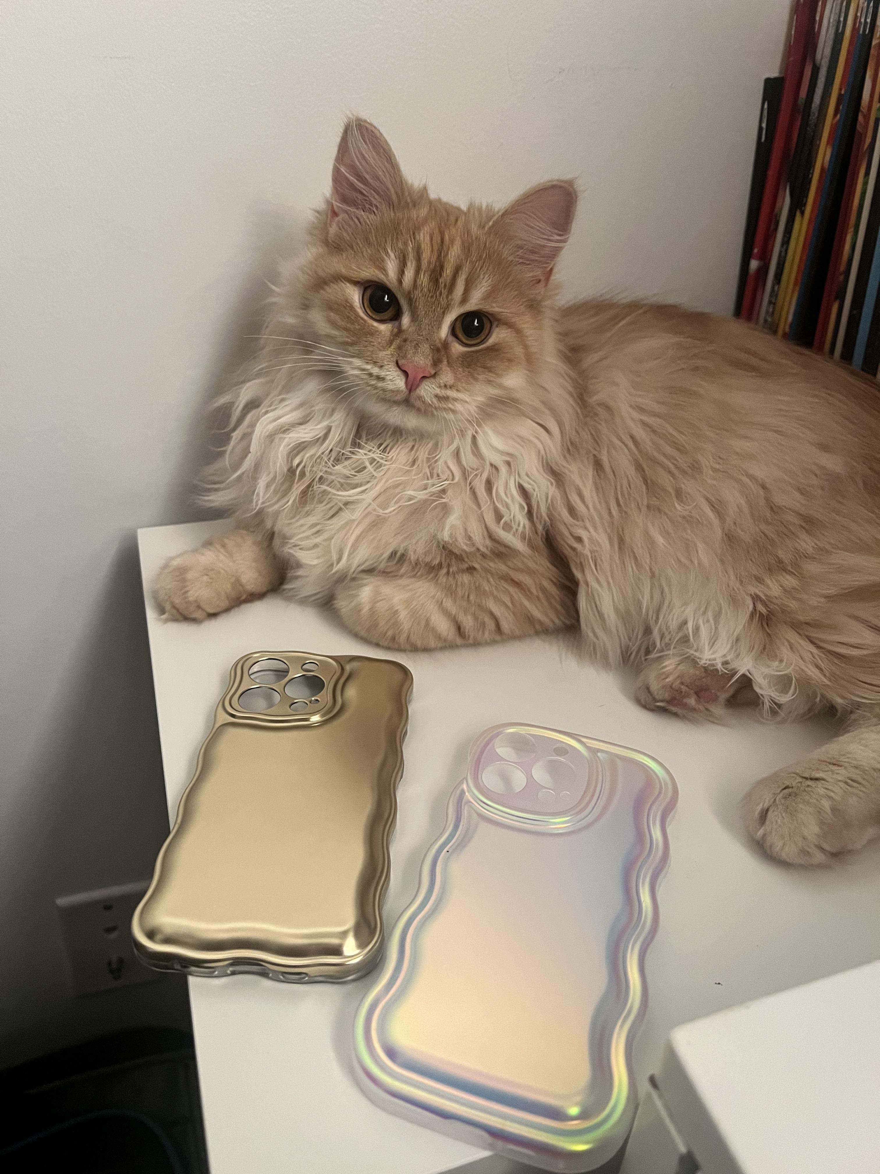 Shedding? | Scrolller