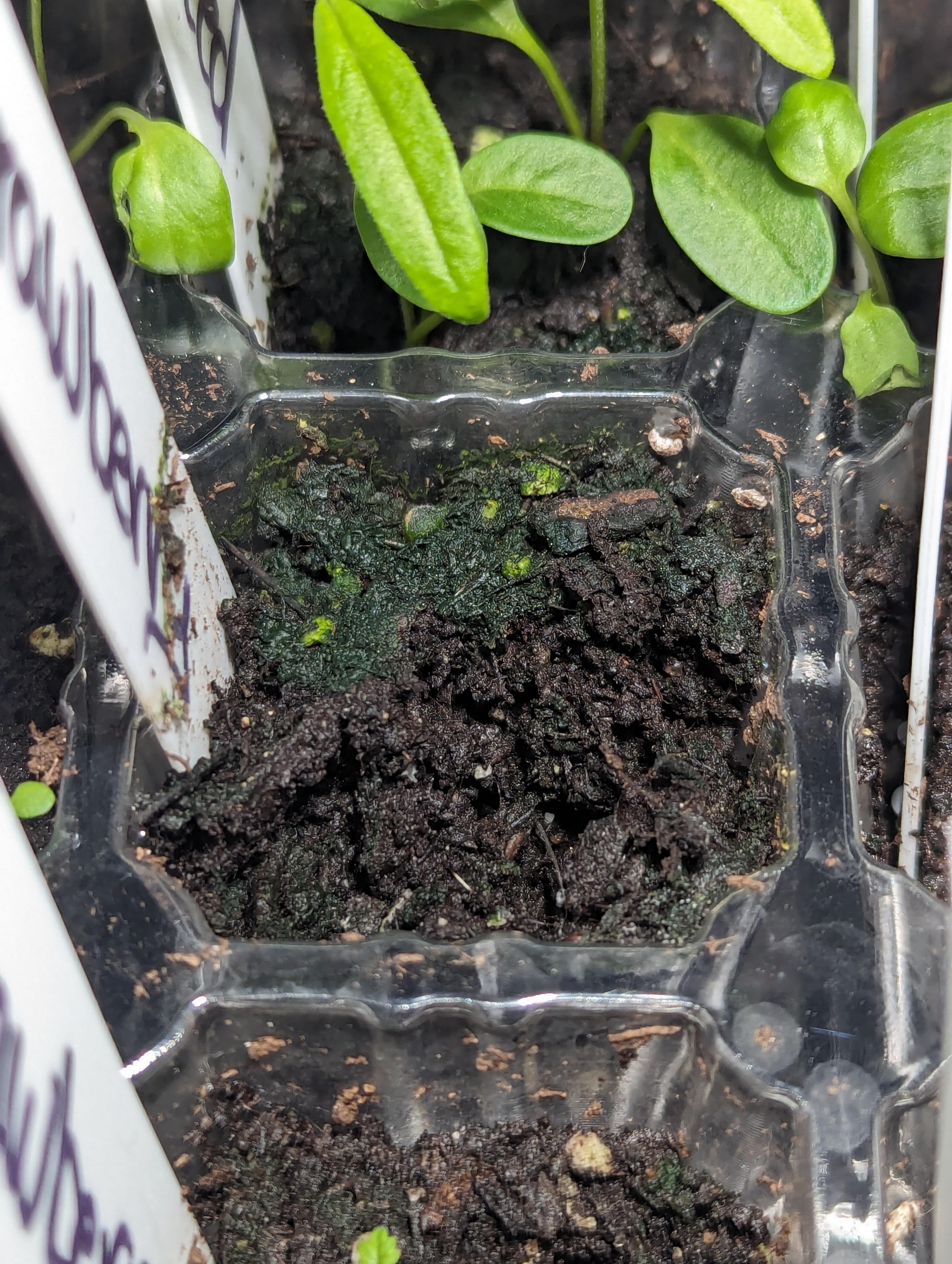 So I made a big mistake | Scrolller