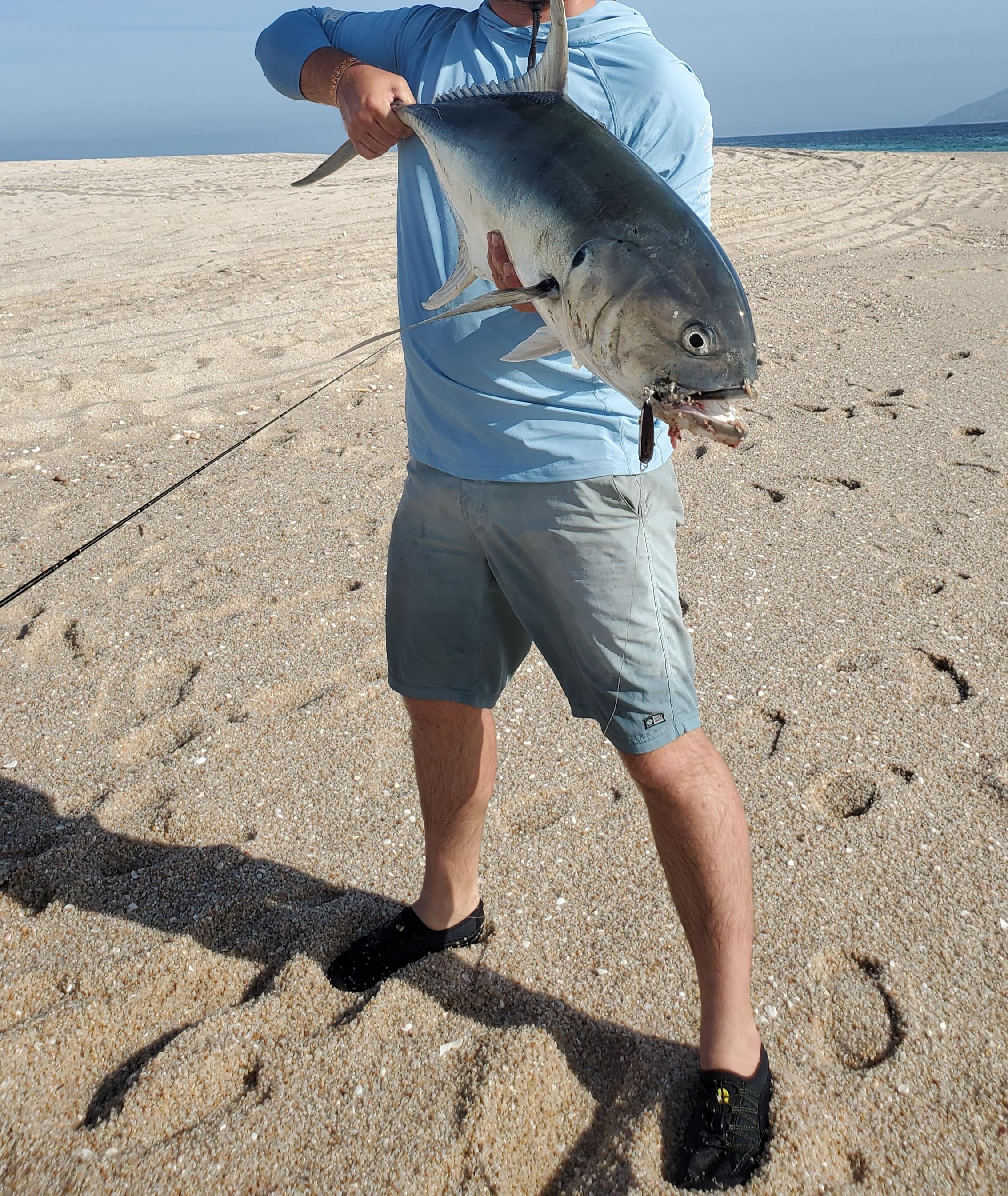 Baja Trip | Scrolller