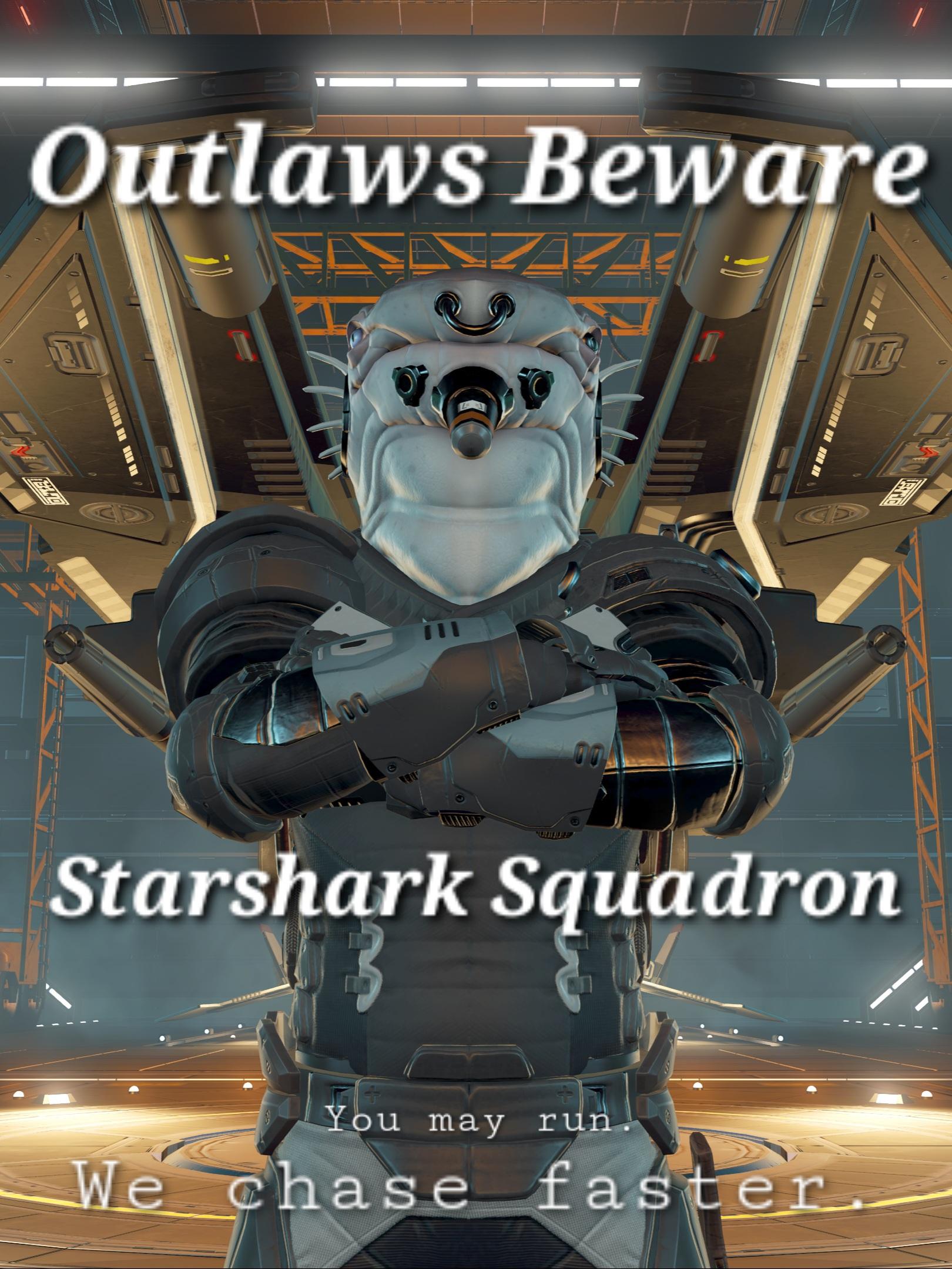 Made a poster for my Squadron | Scrolller