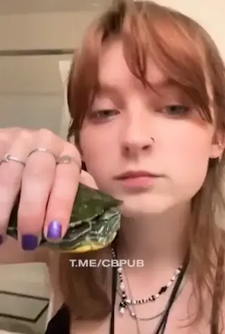 Kissing Turtle | Scrolller