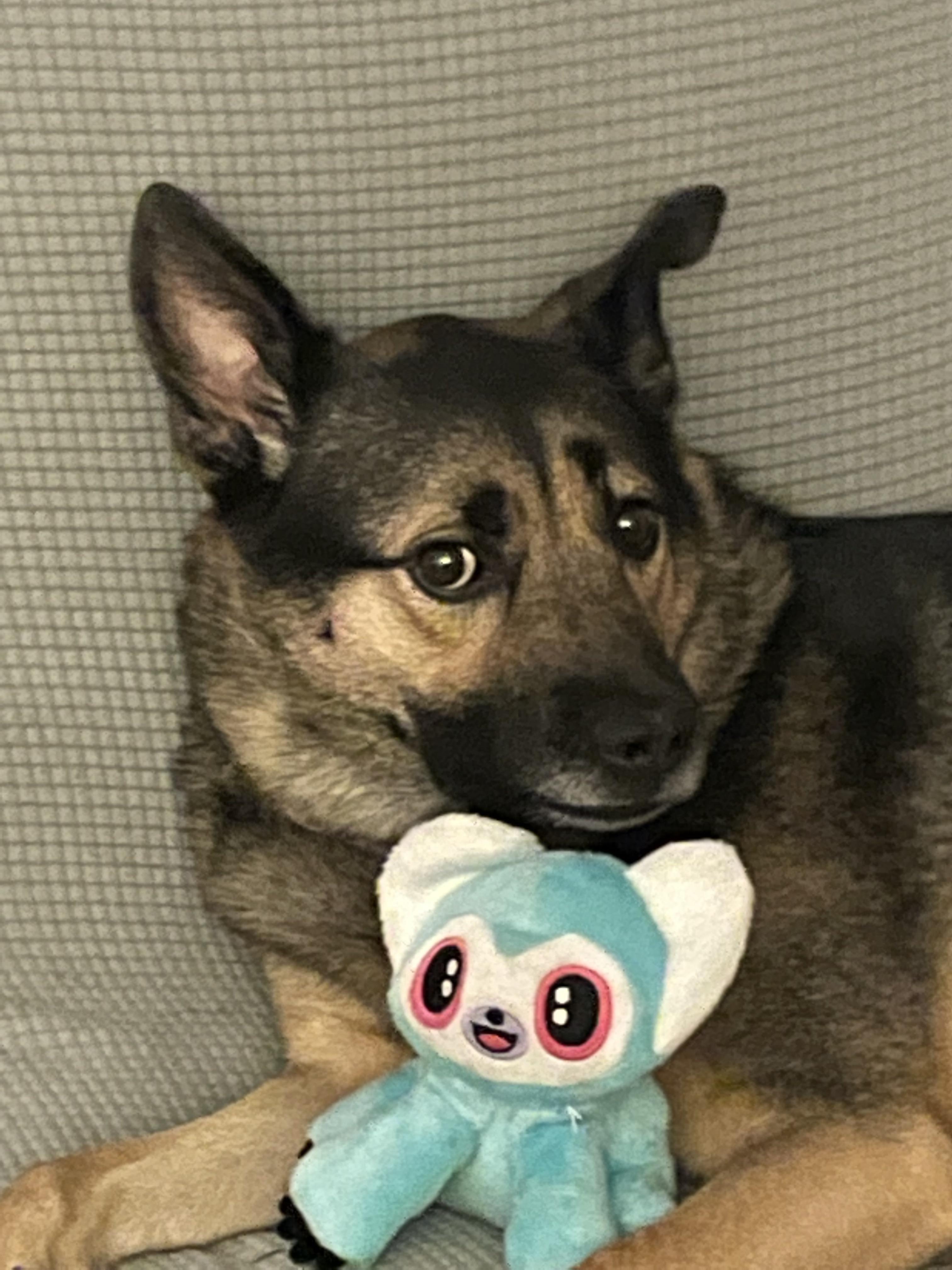 I’m so scared | Scrolller