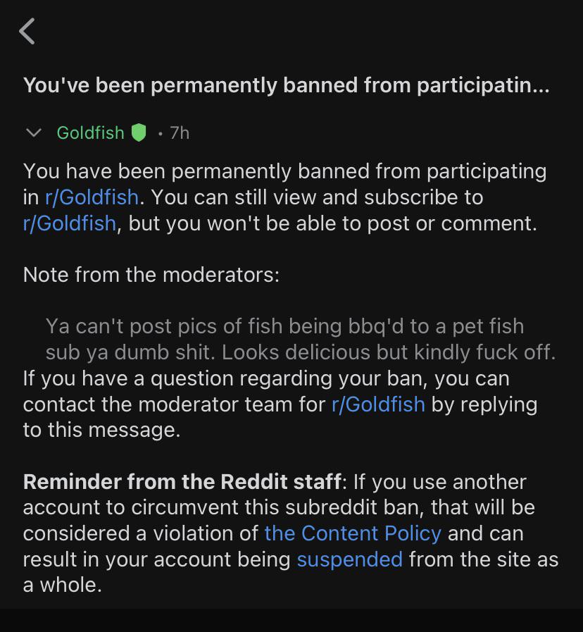 Kmt bruv | Scrolller