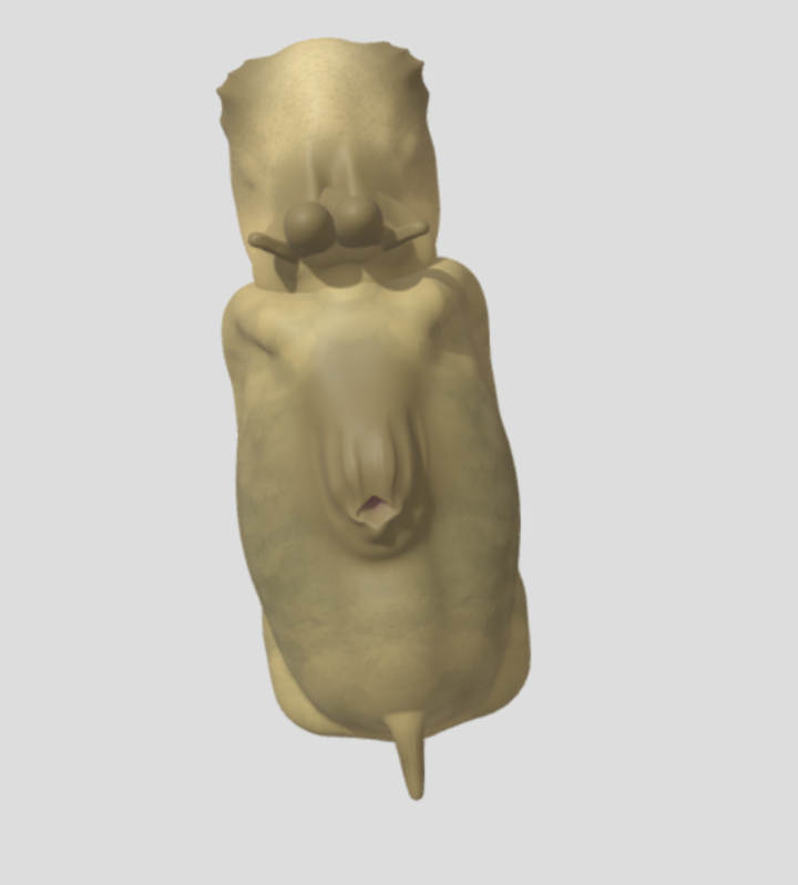 I made hippopotas in 3d | Scrolller