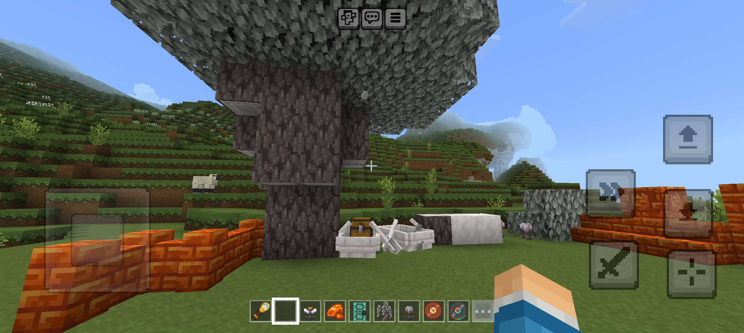 Mizuno Update?? | Scrolller