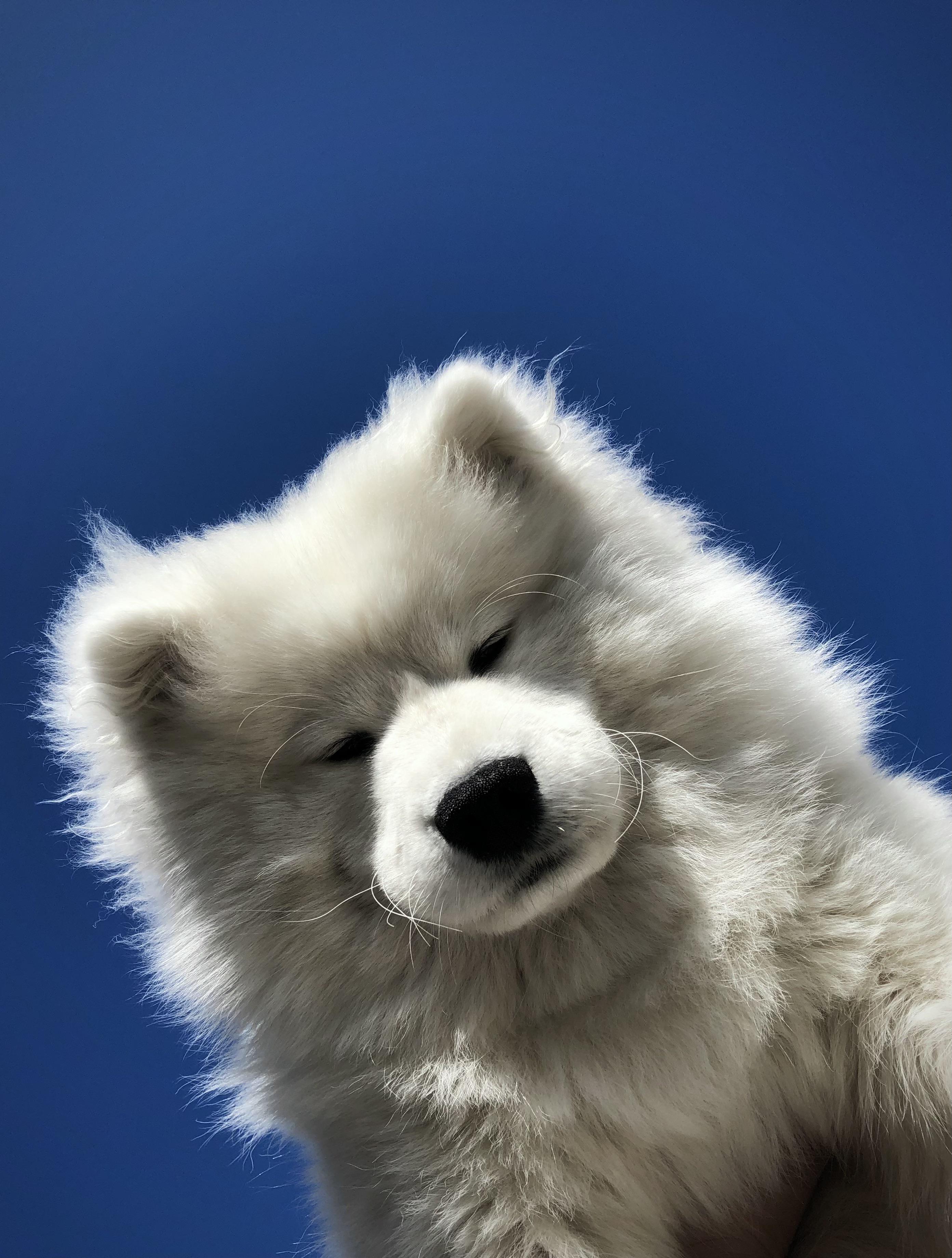 Swipe right to watch Emma grow up (OC) | Scrolller